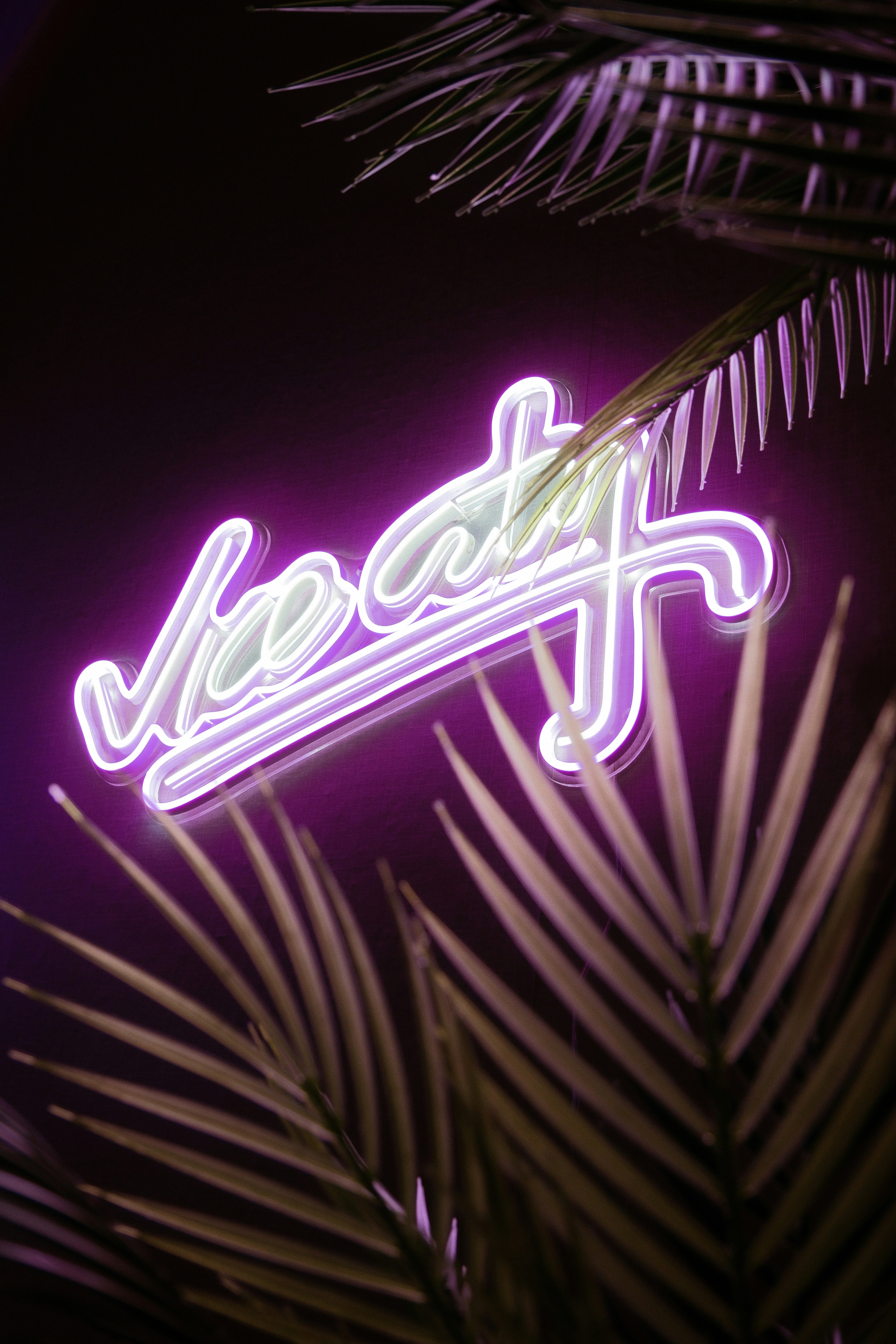Neon Palm Night: Purple Glow Behind Fronds