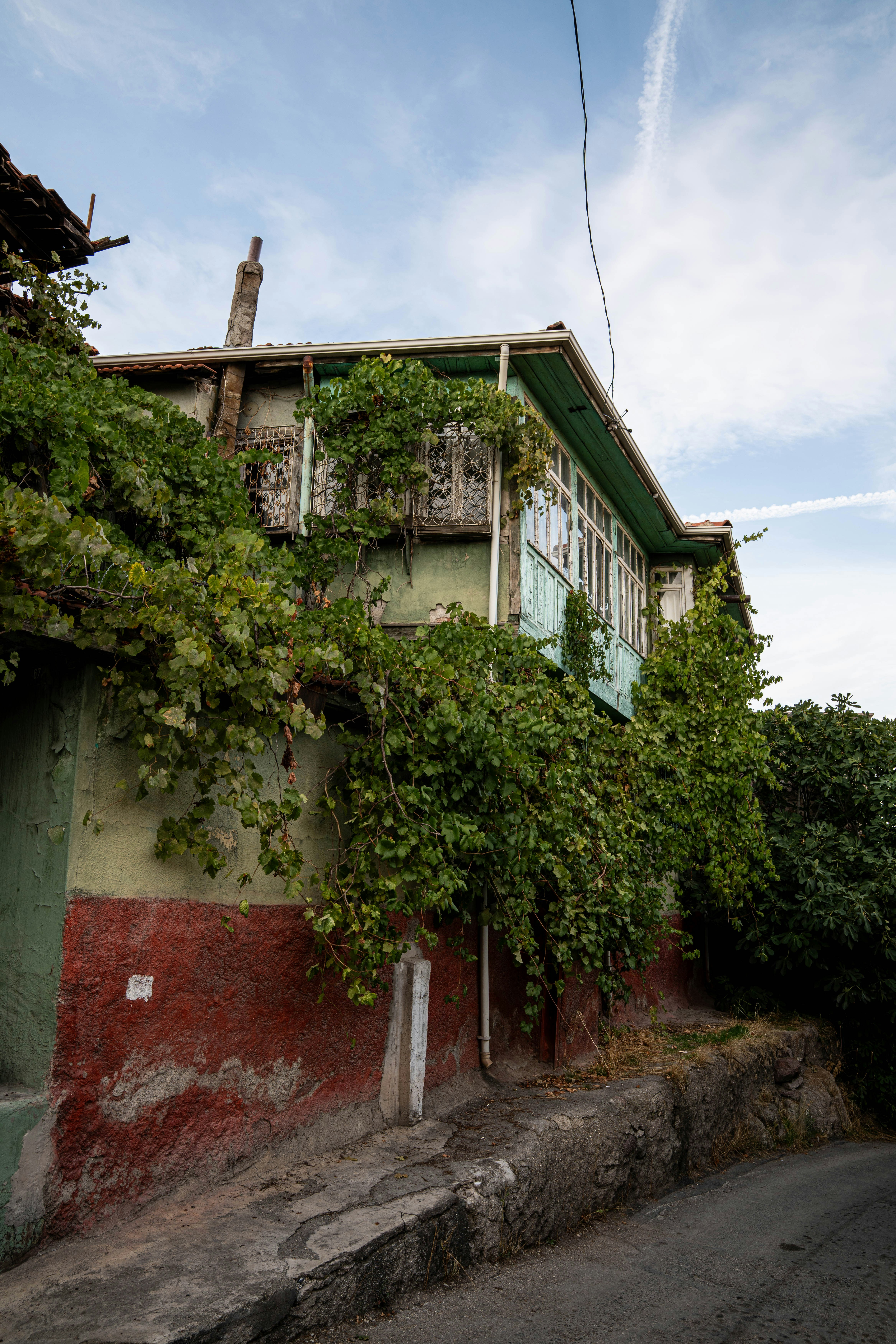 Vine-clad houses along a sunlit hillside street