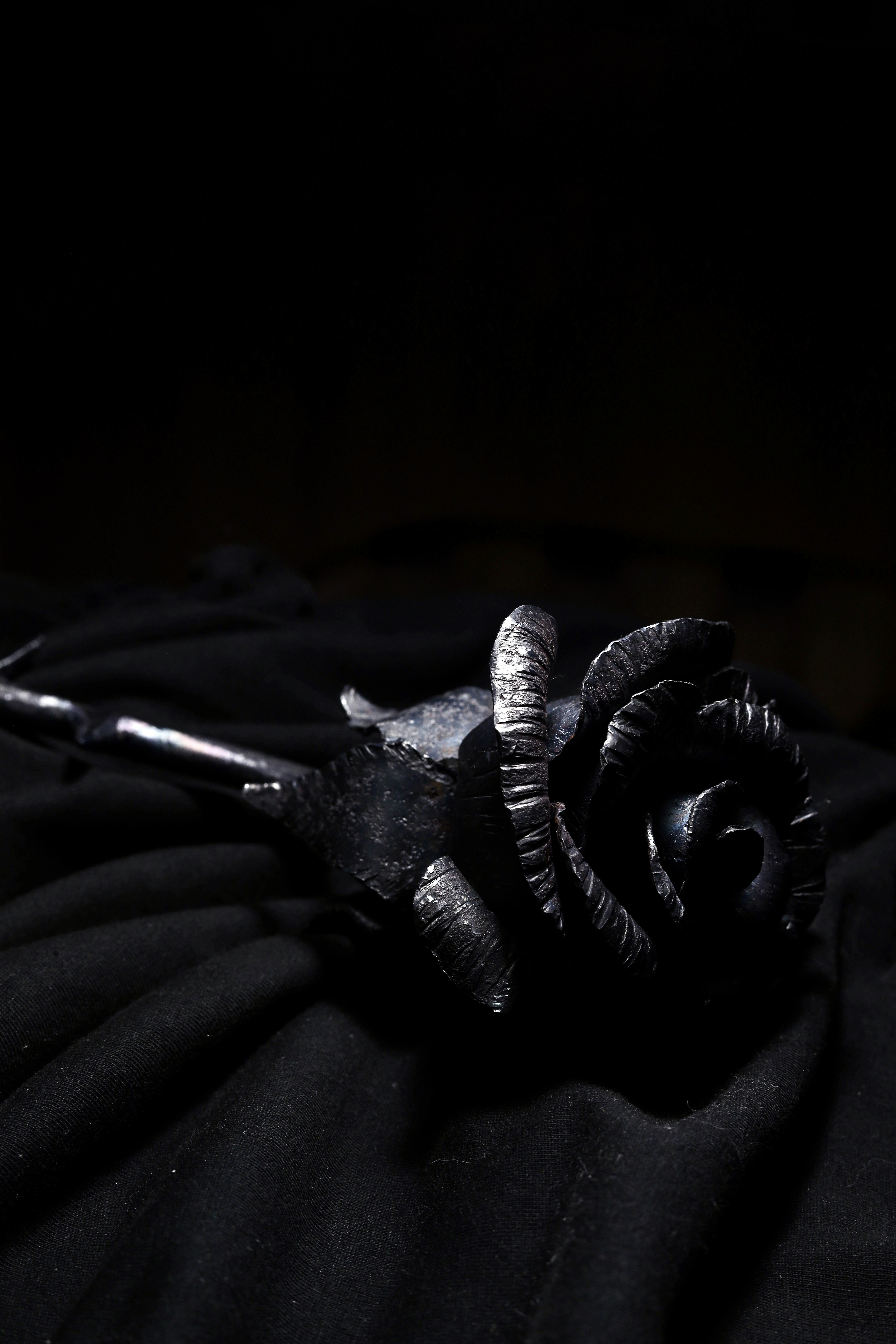 Midnight Rose: A Charred Rose on Velvet Black