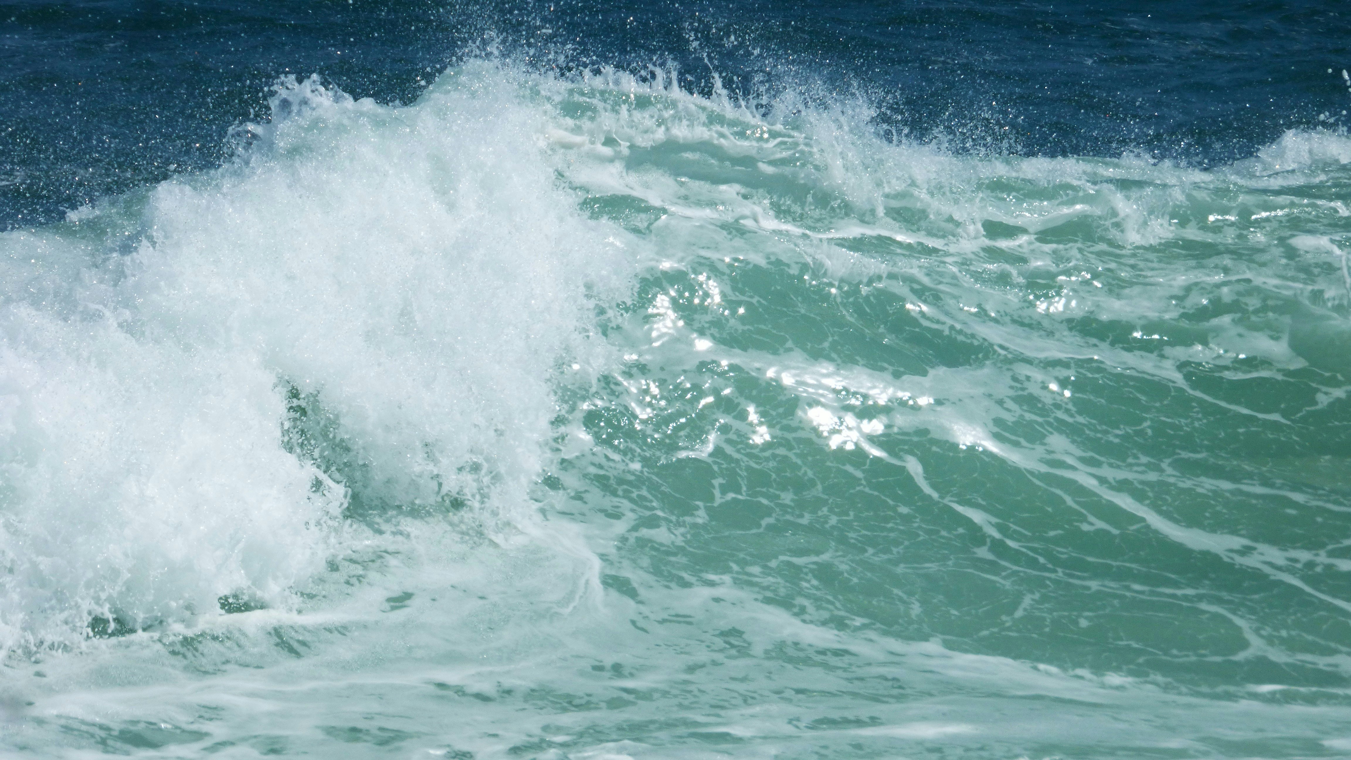 Cresting Green: A Moment Inside a Surfing Break