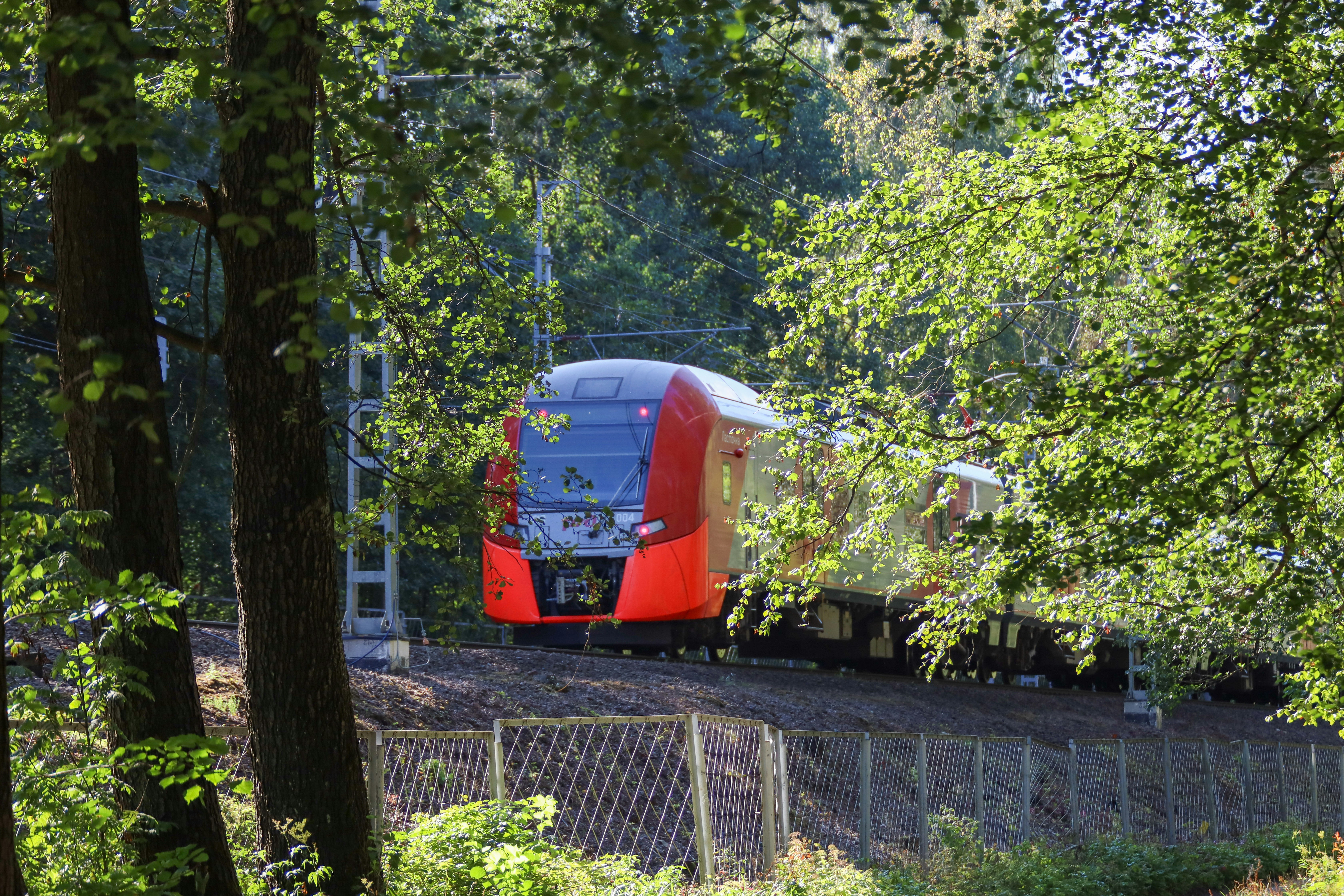Red Corridor: A Modern Train Emerges Through the Green Corridor