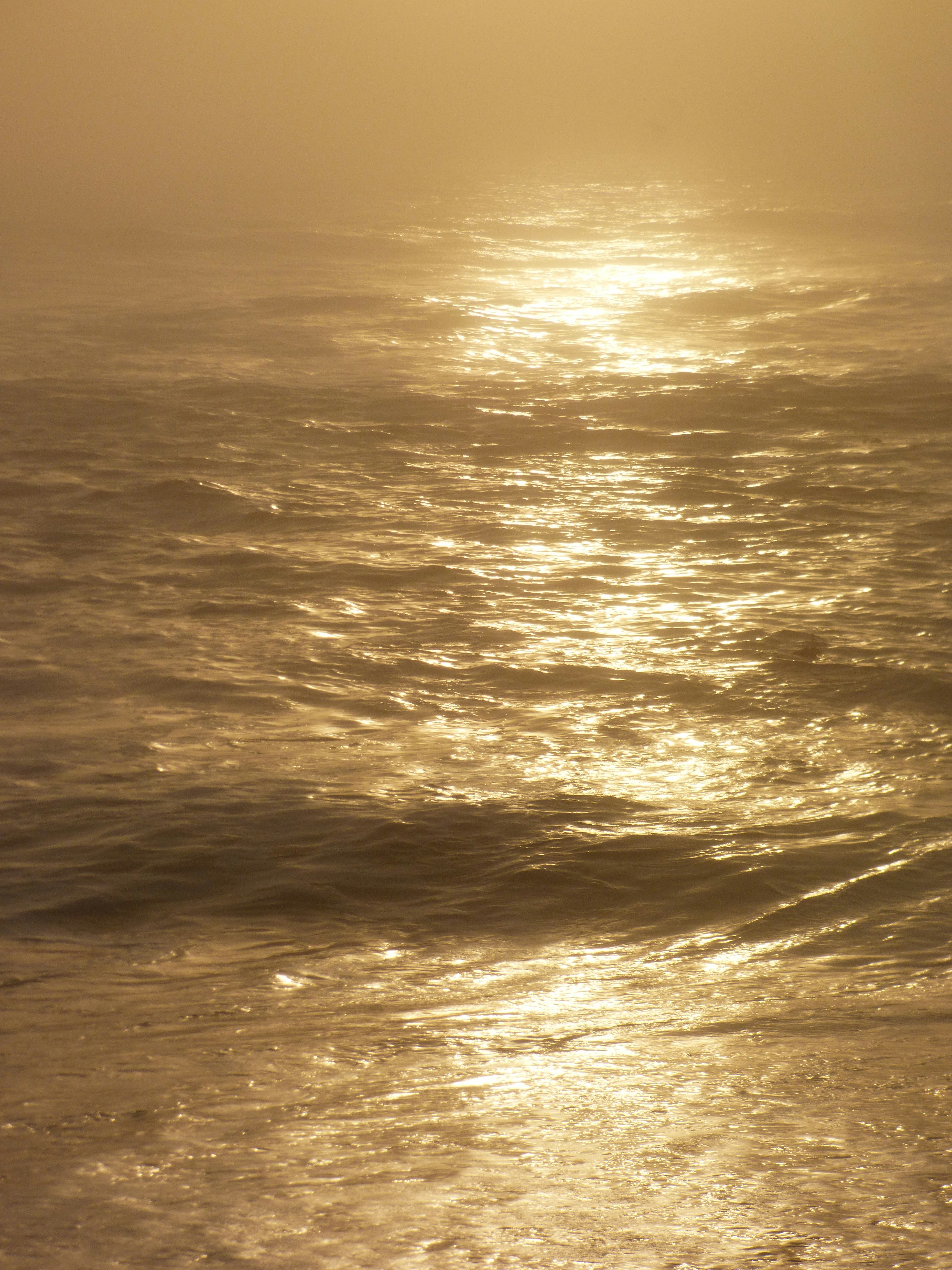 Golden Horizon: Sunlit Waves Across an Endless Sea
