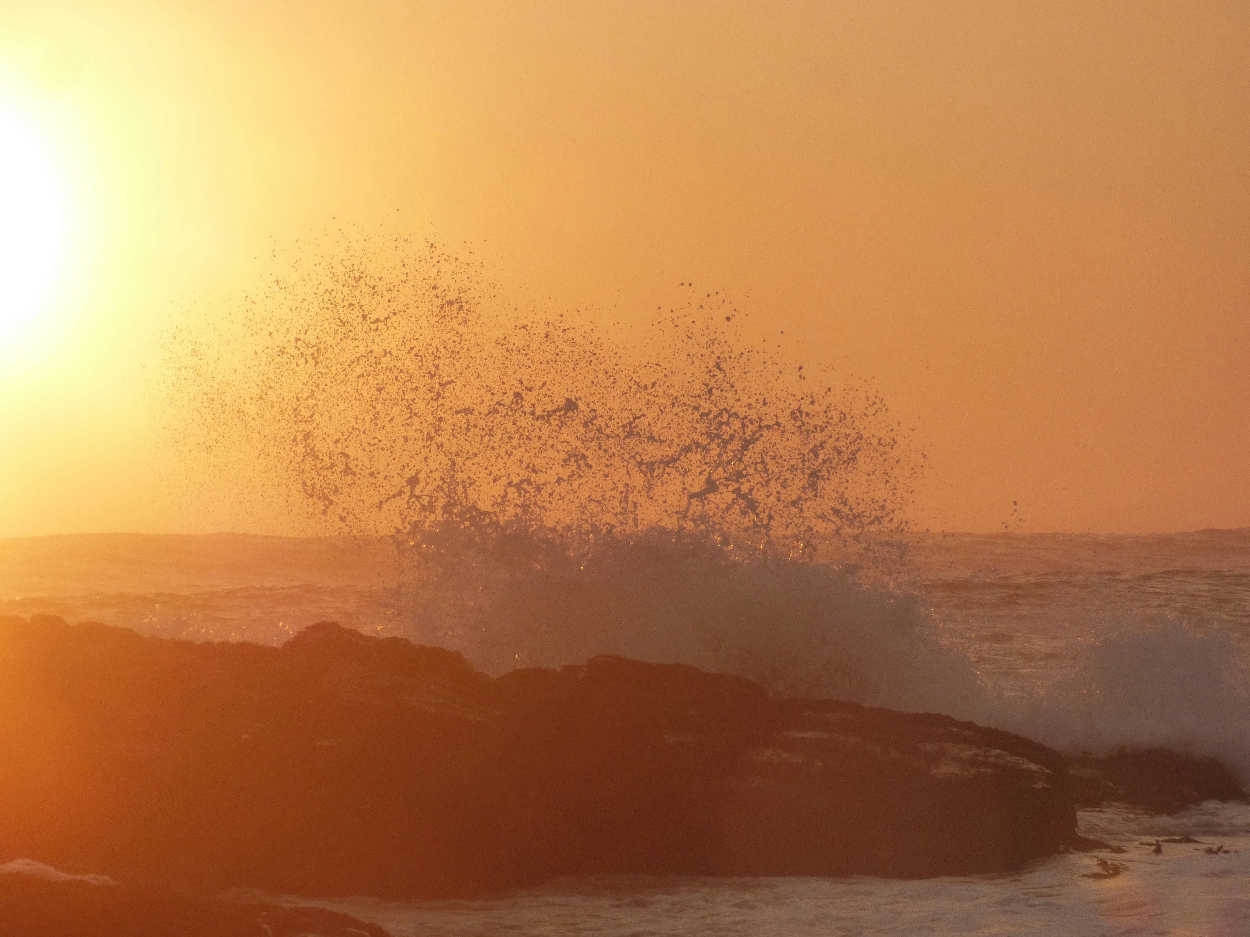 Sun-Drenched Spray: Waves Meet the Dusk Horizon