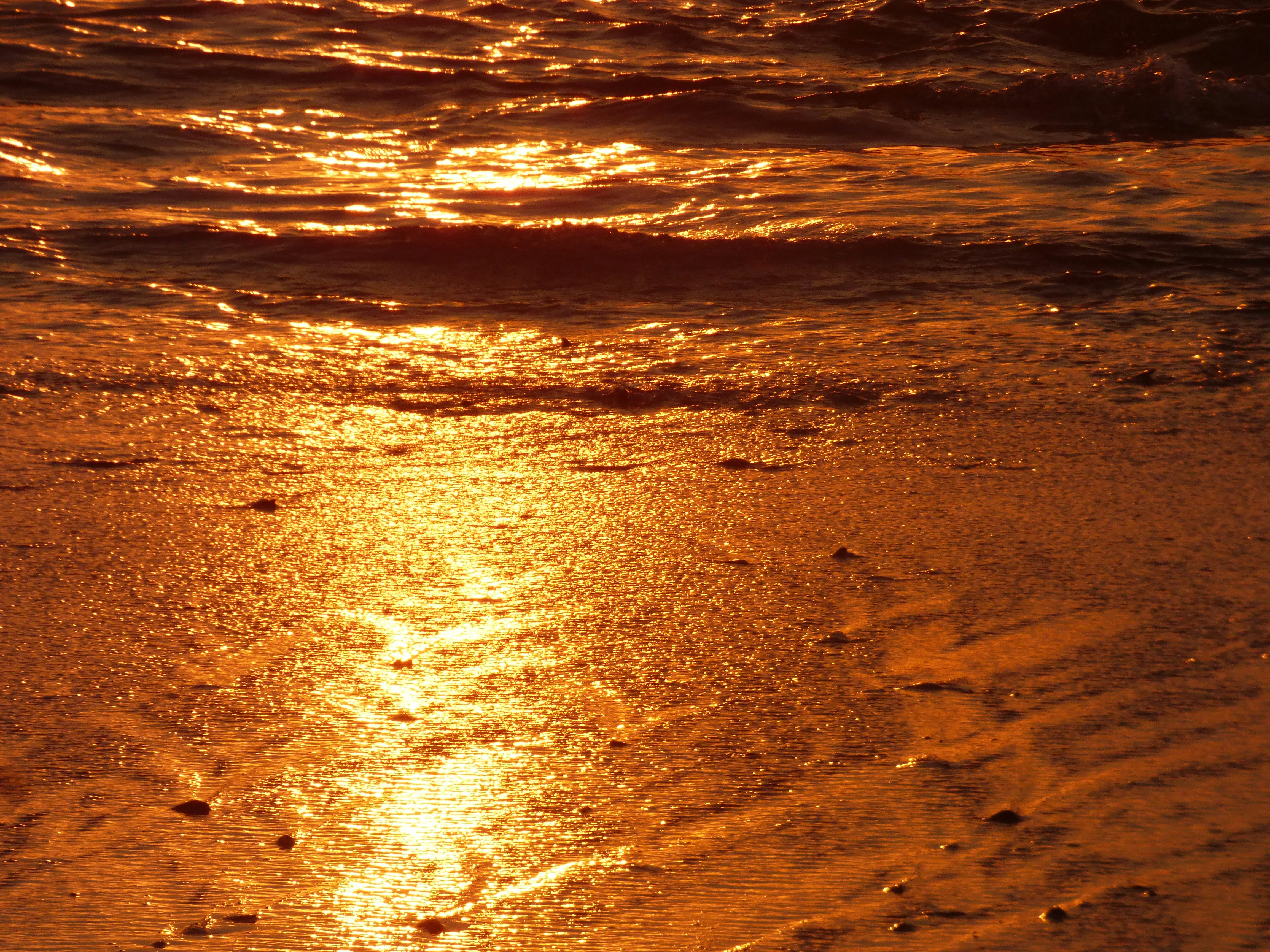 Gilded Shore: The Quiet Descent of Sunset Into Sand