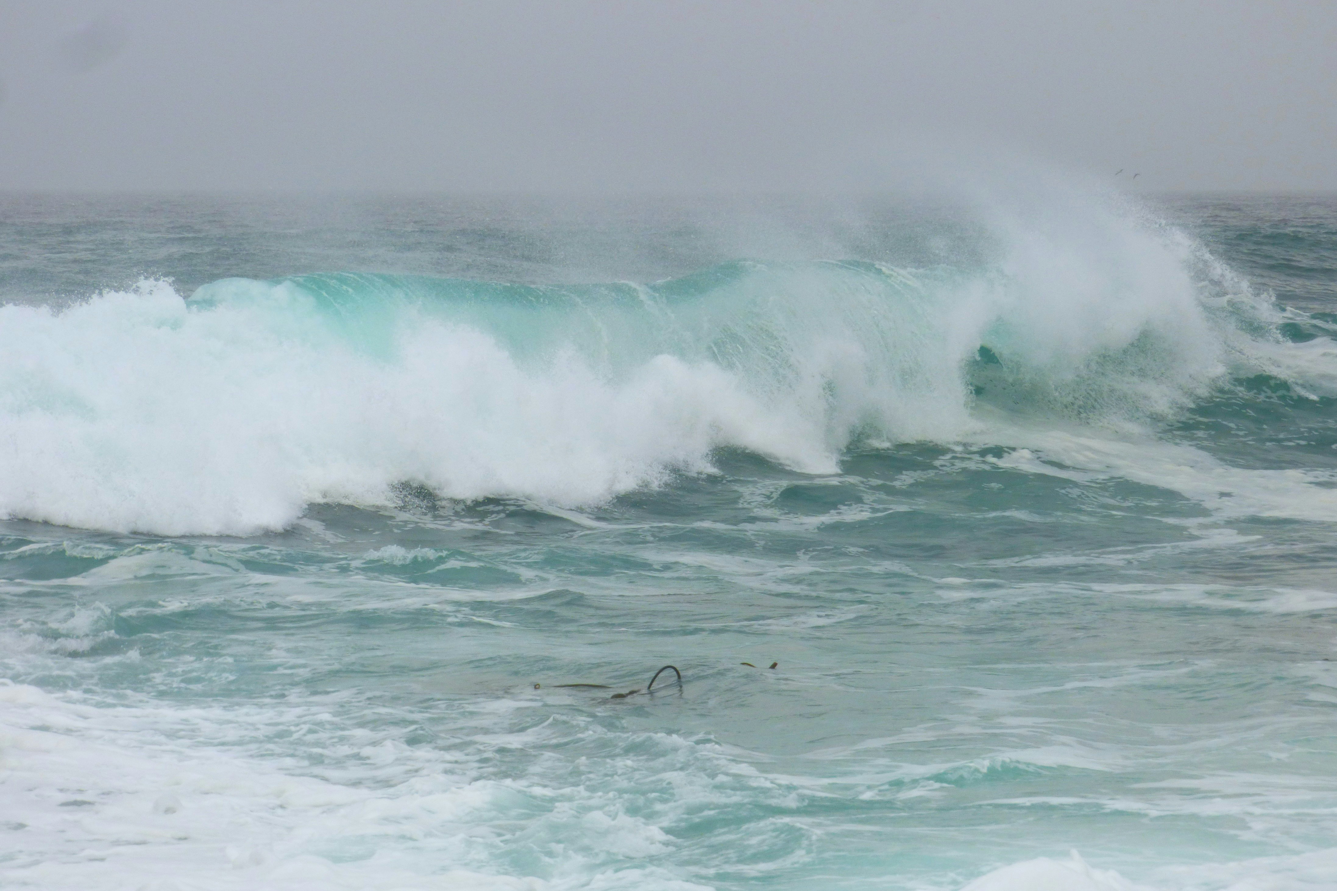 Cresting Green Wall: A Breaker Near the Quiet Shore