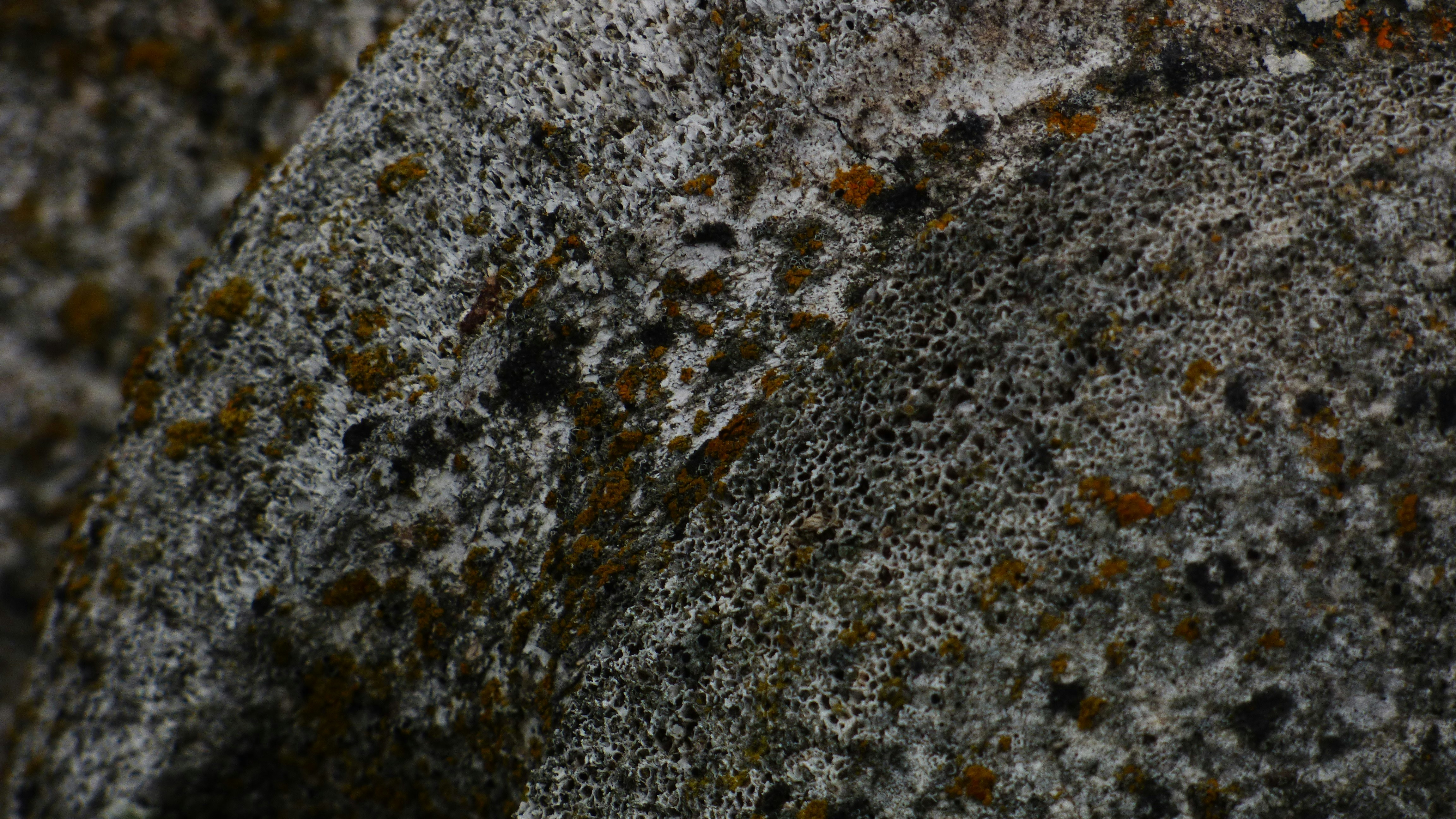 Granite Speckle: A Quiet Field of Pitted Stone