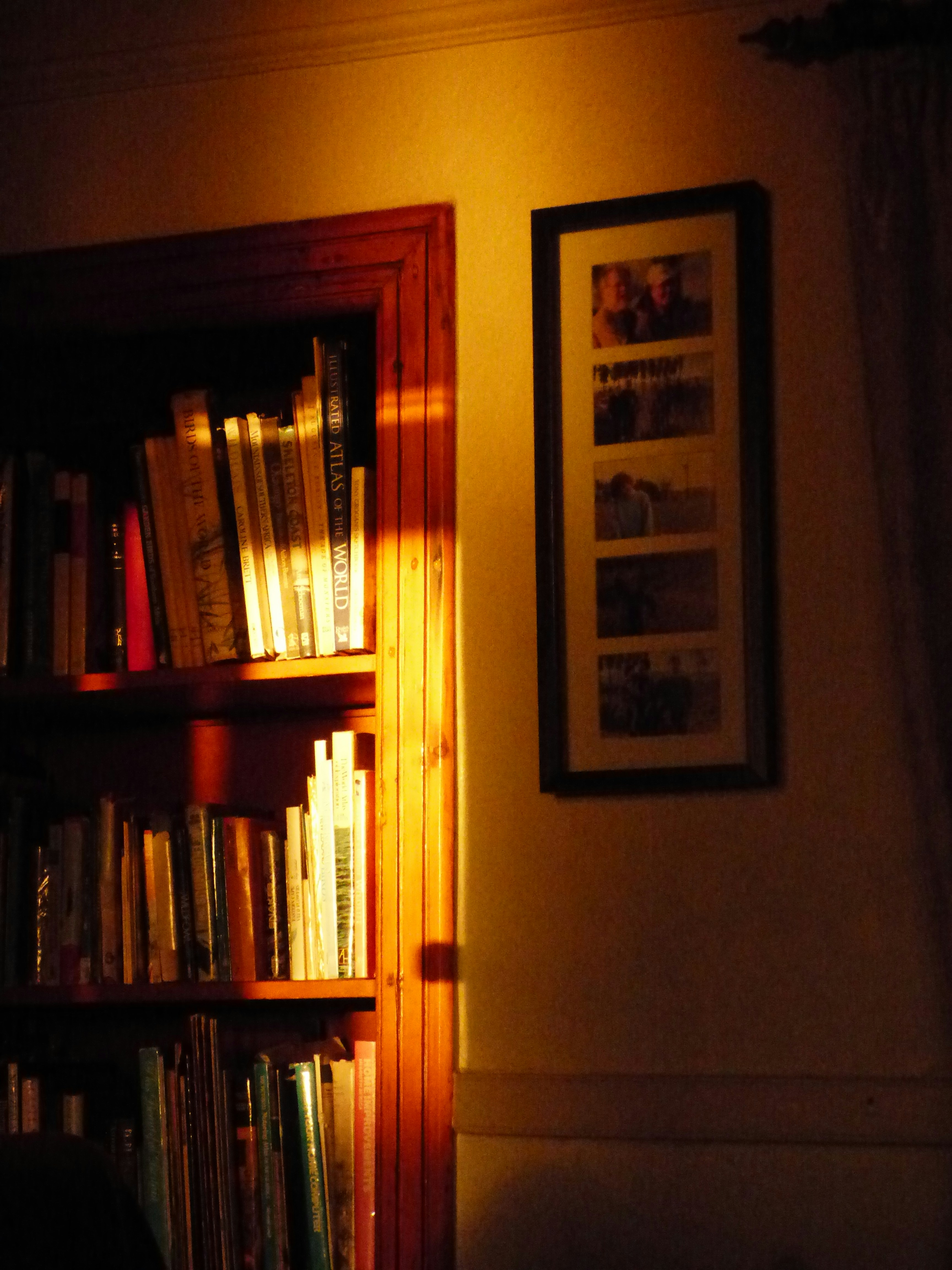 Golden Beam on a Wooden Library
