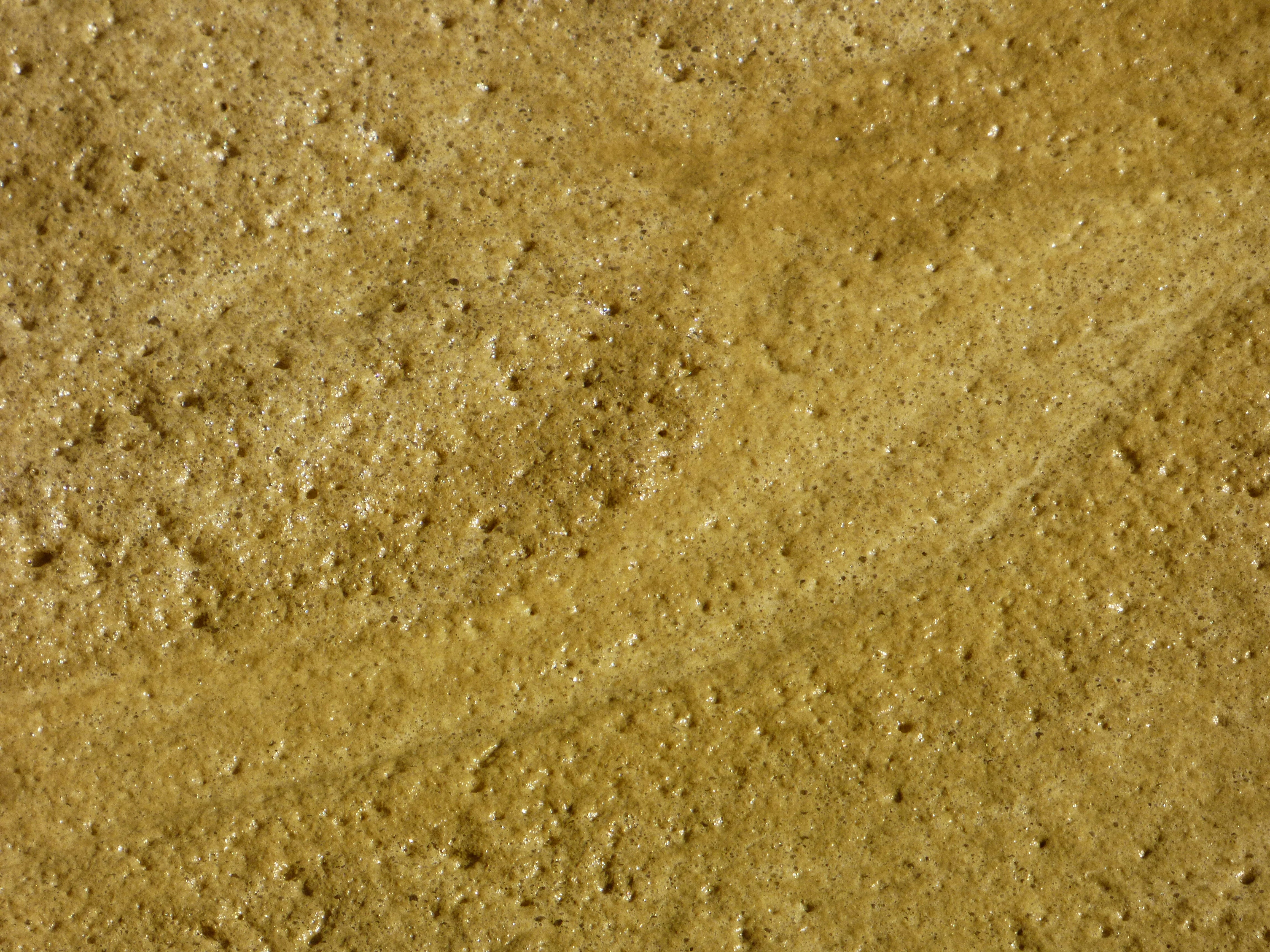 Granular Echoes: A Close-Up of Desert Sand Textures