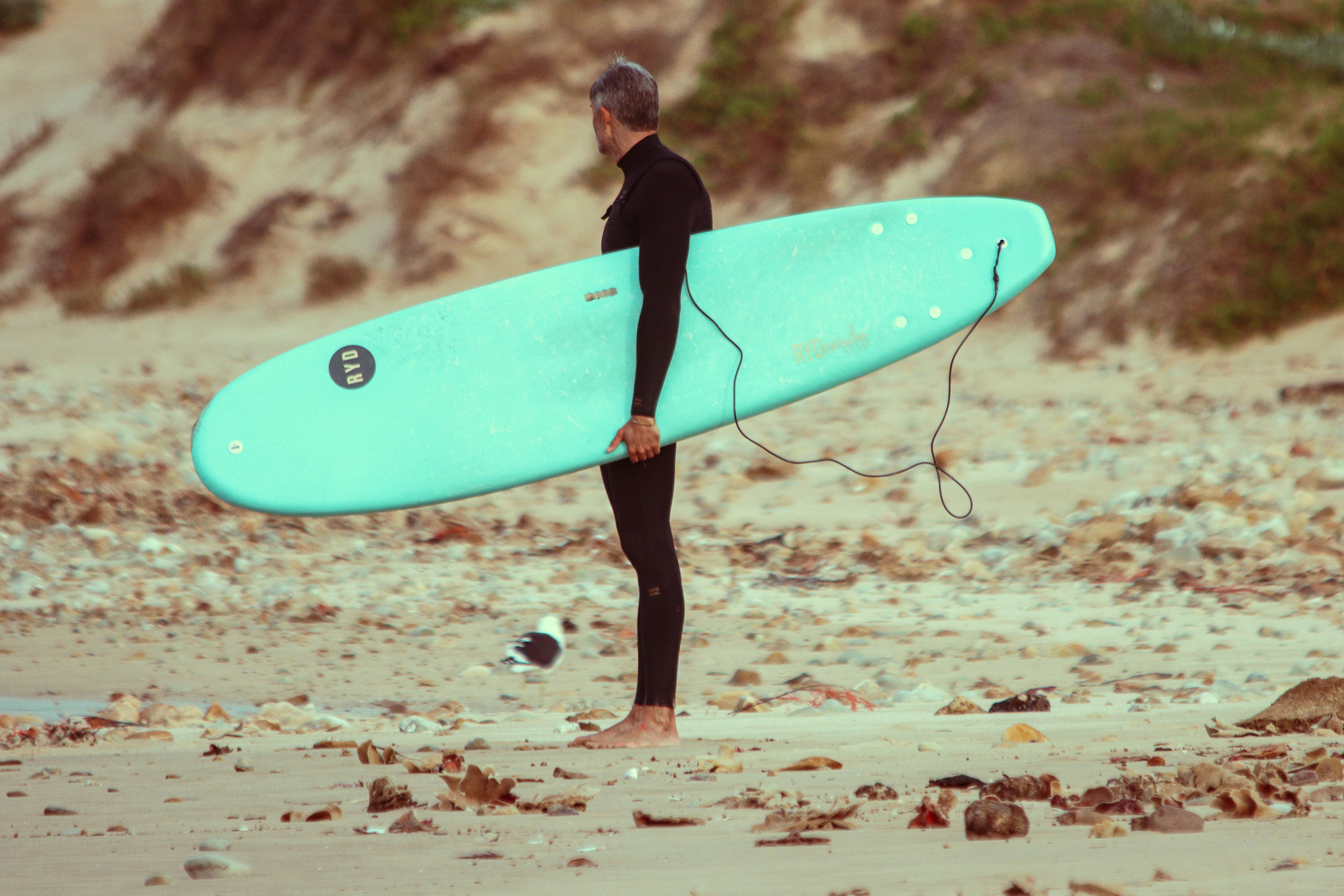 Surf Rider at Dune Beach: A Coastline Portrait