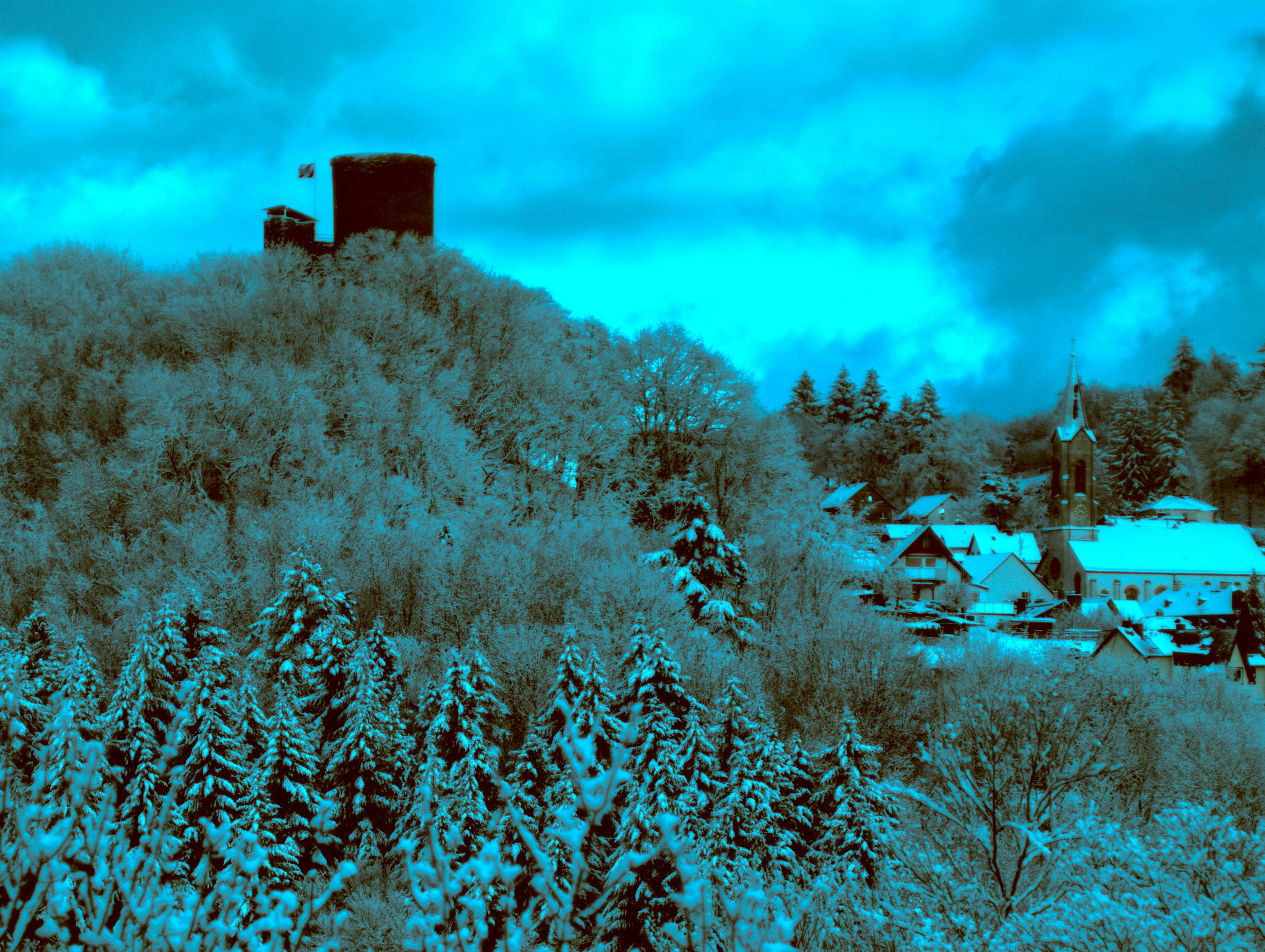 Snow-laden trees frame a distant village with a tall tower, bathed in a cool cyan hue.
