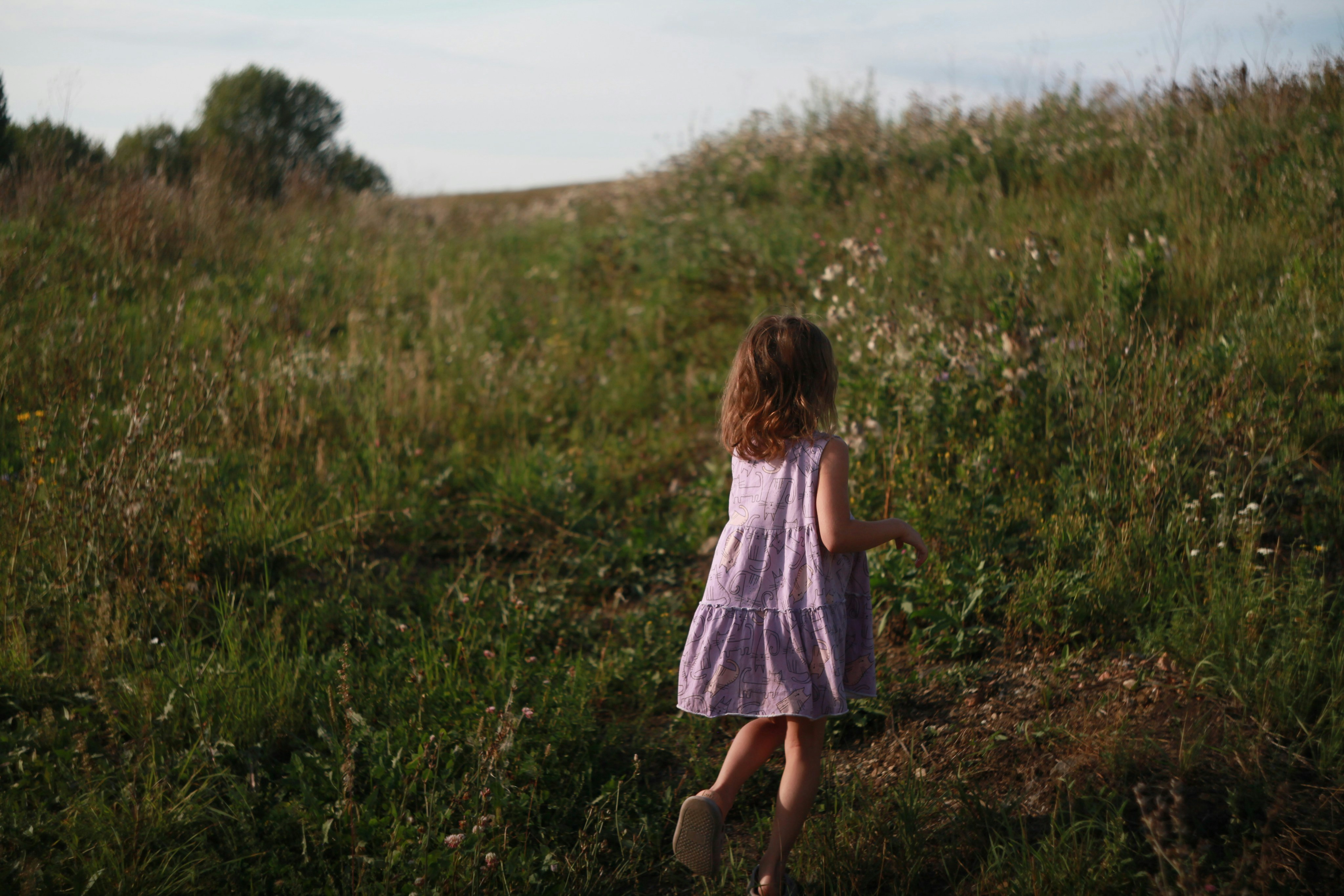 Girl in a Lilac Dress Returns to a Quiet Meadow Path