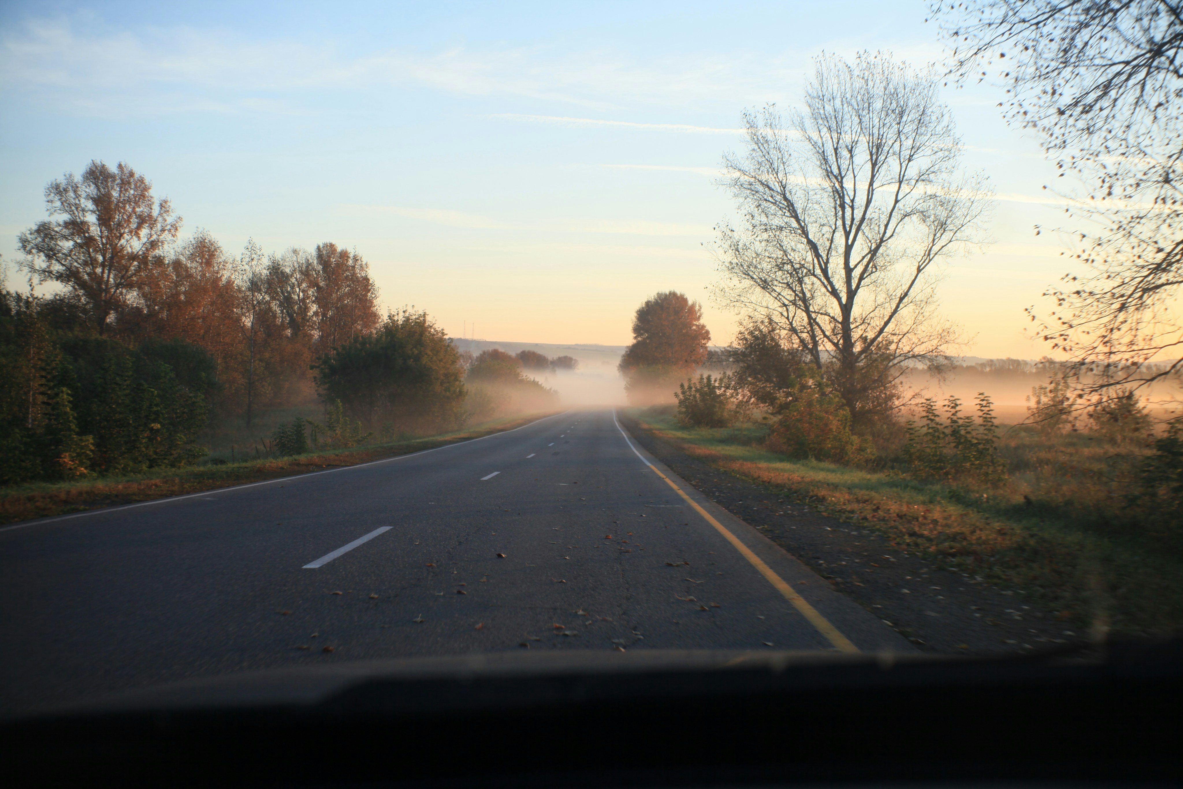 Morning Mist on a Desolate Road
