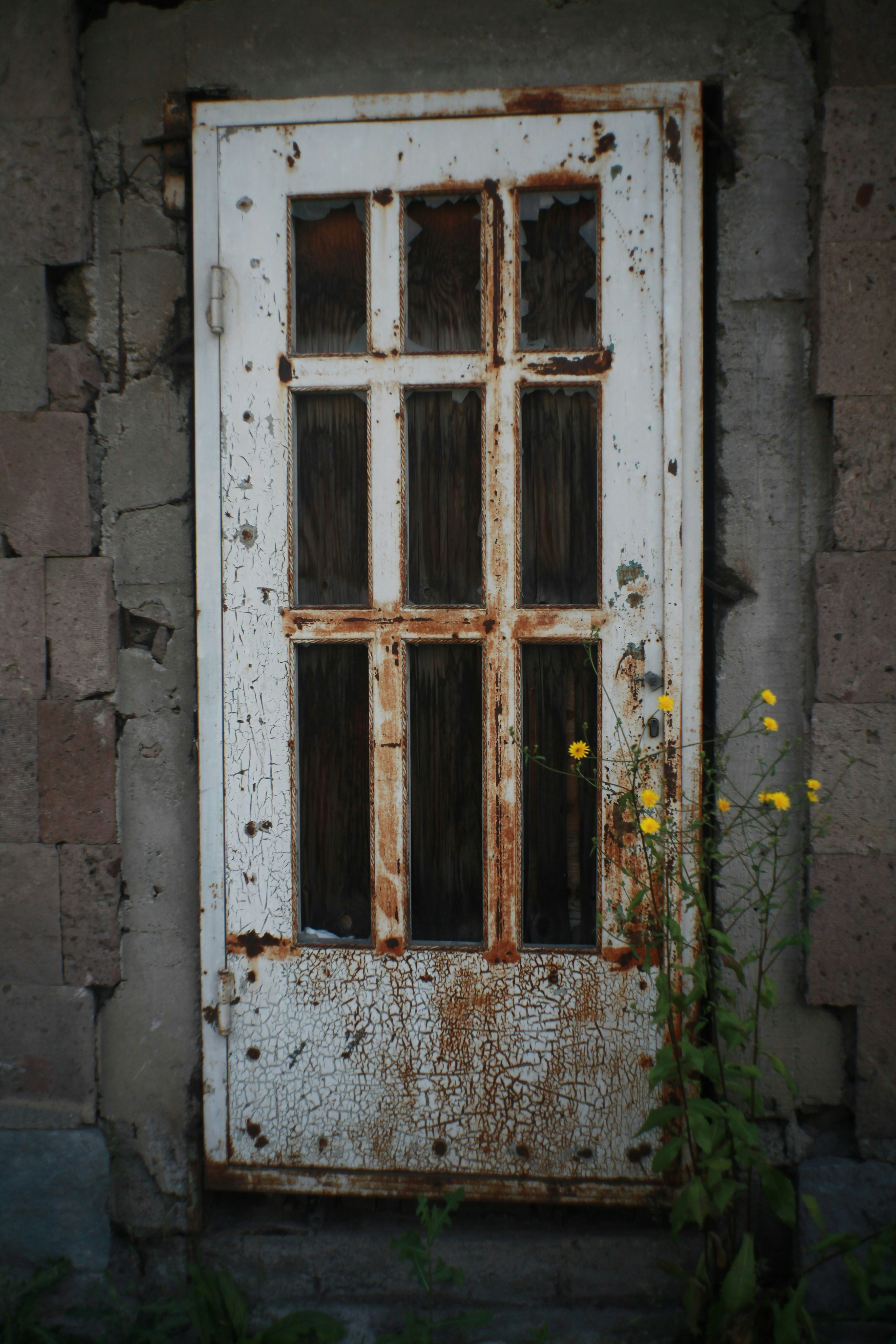 Rust, Bloom, and a Doorway to Decay