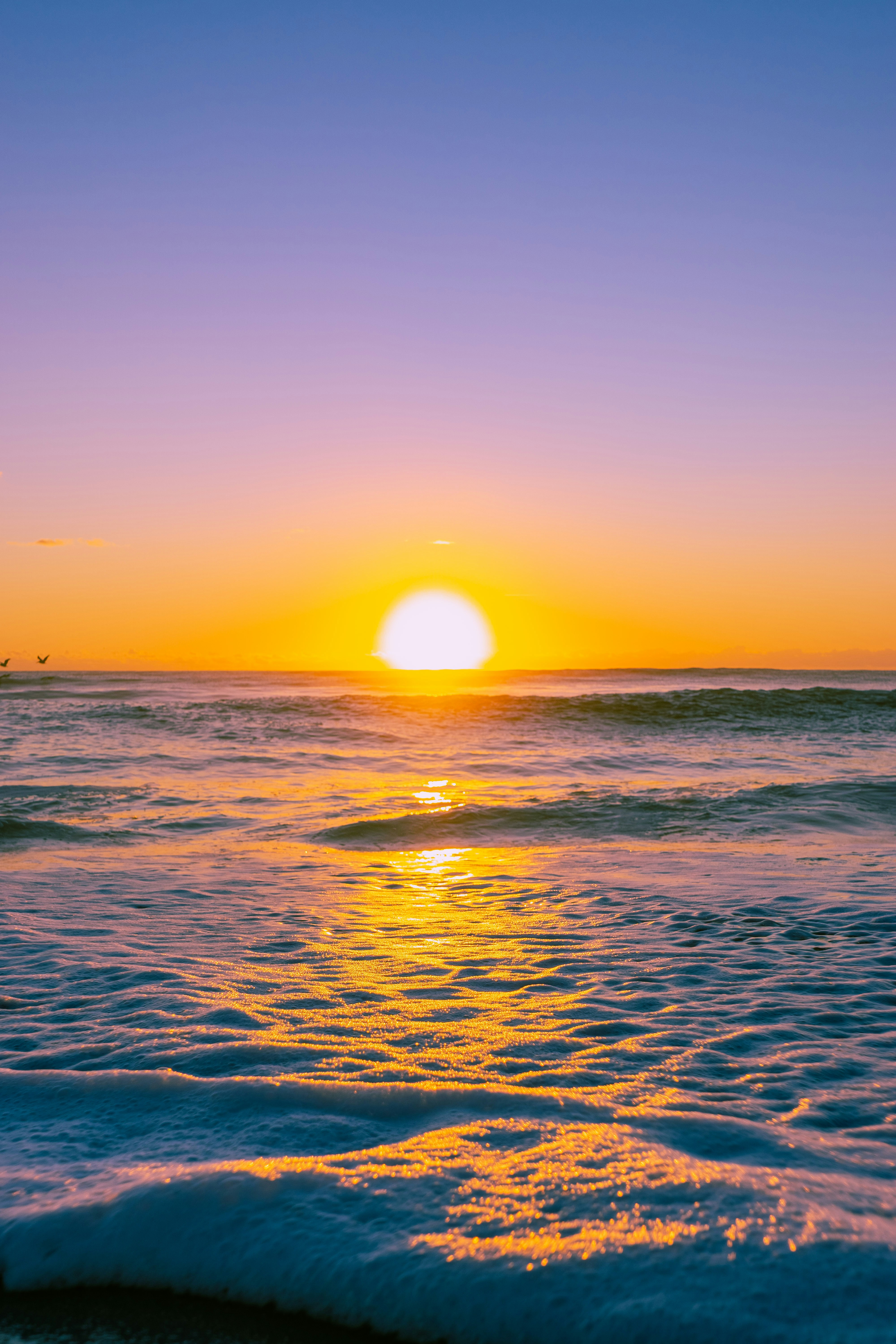 Sunlit Siesta: The Quiet Horizon at Dusk