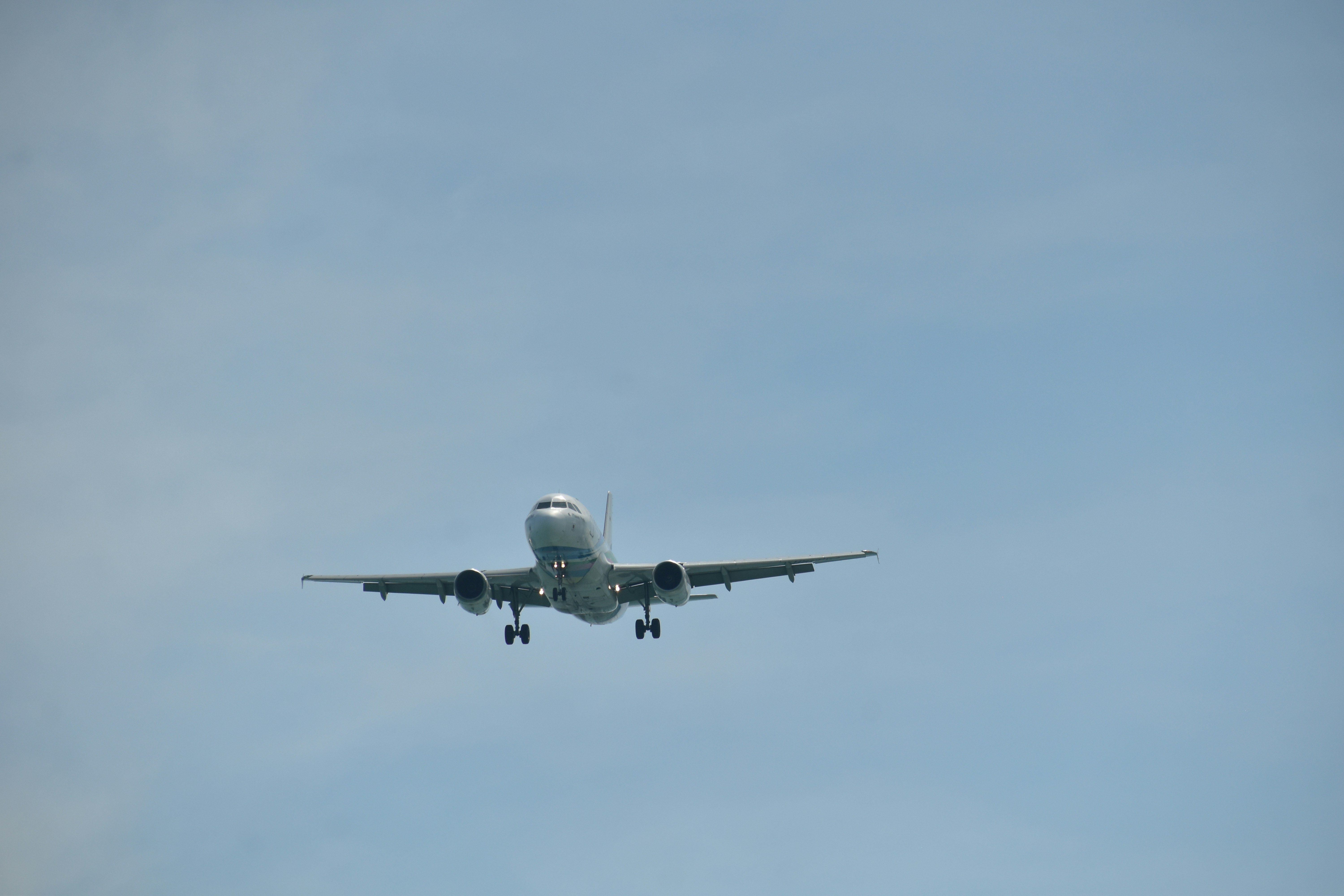 Approaching Giants: A Jet Glides Toward the Horizon