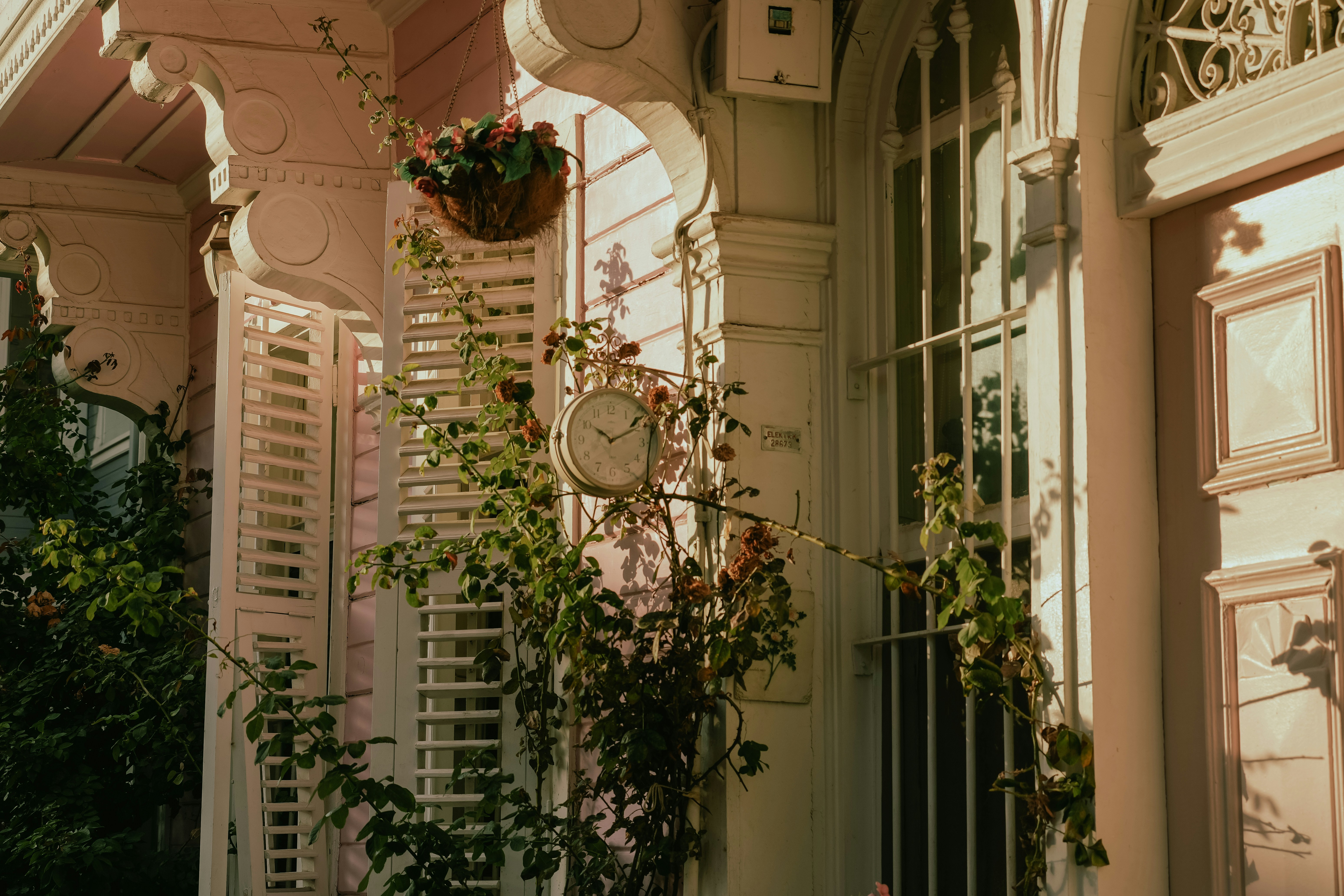 Sunlit doorway with climbing ivy and vintage shutters