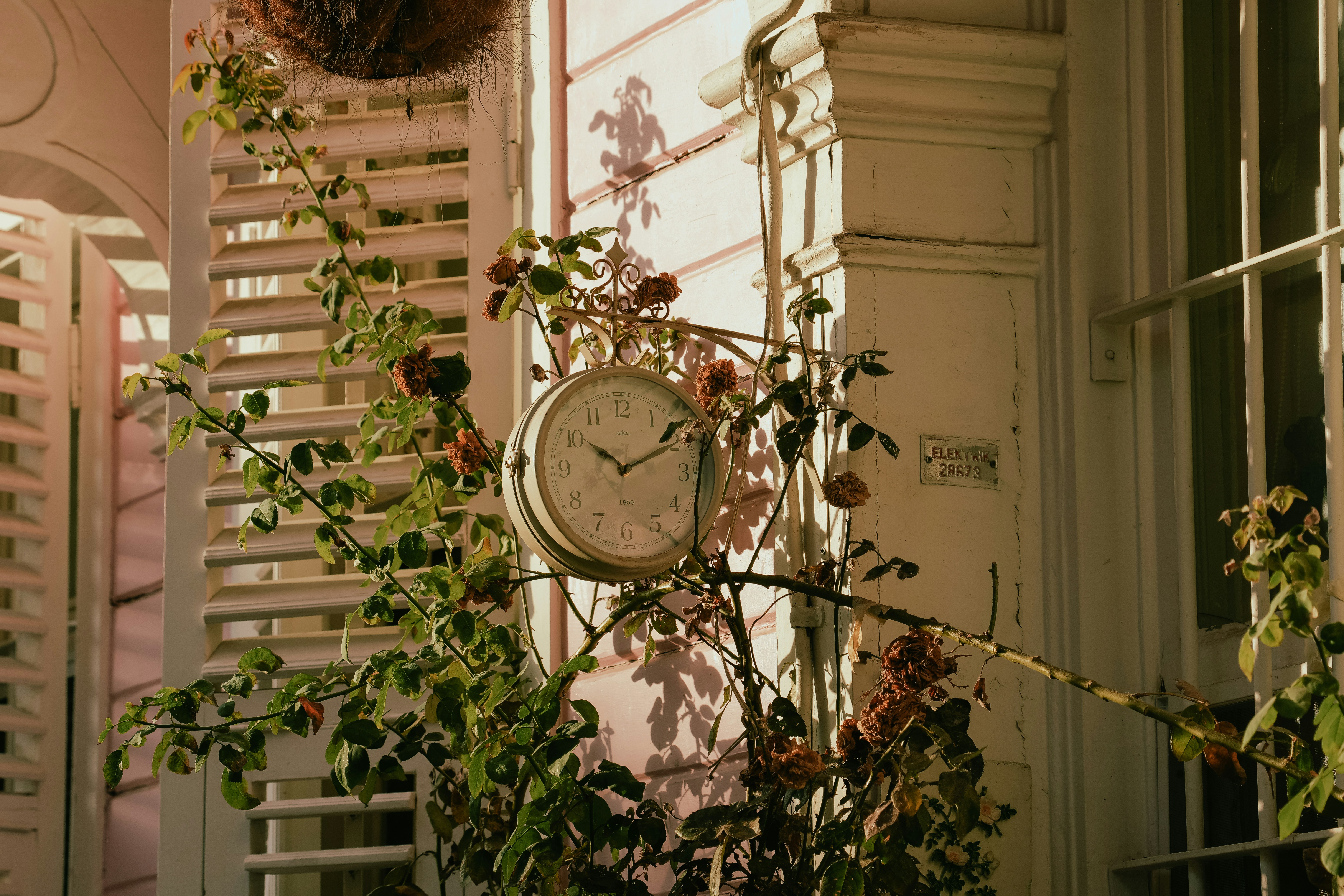 Vintage Clock Framed by Wisteria on a Sunlit Facade