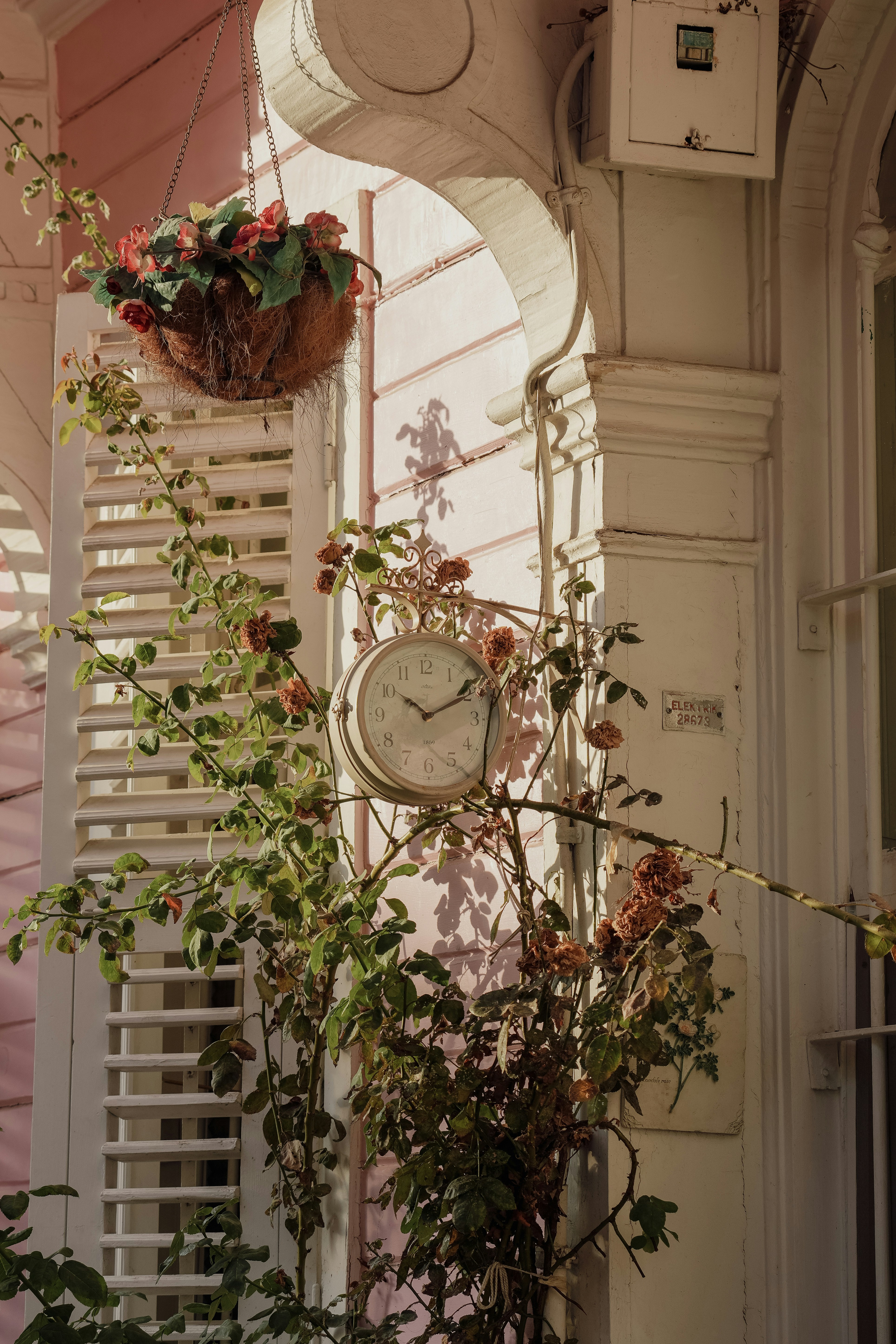 Clock in the Vines: Time and Bloom on a Pink Facade