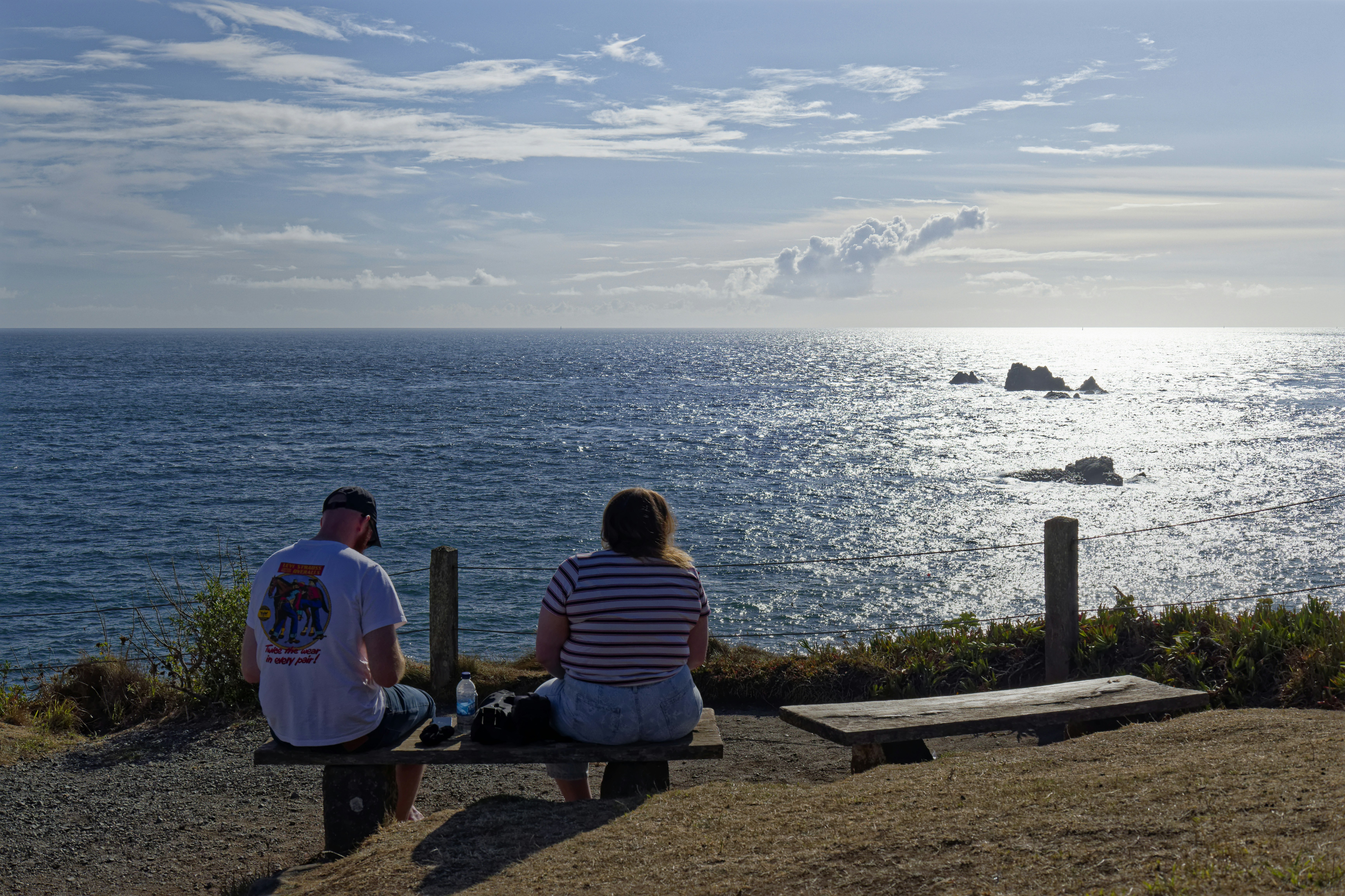 Two Seated Figures at Ocean View: Quiet Moment by the Overlook