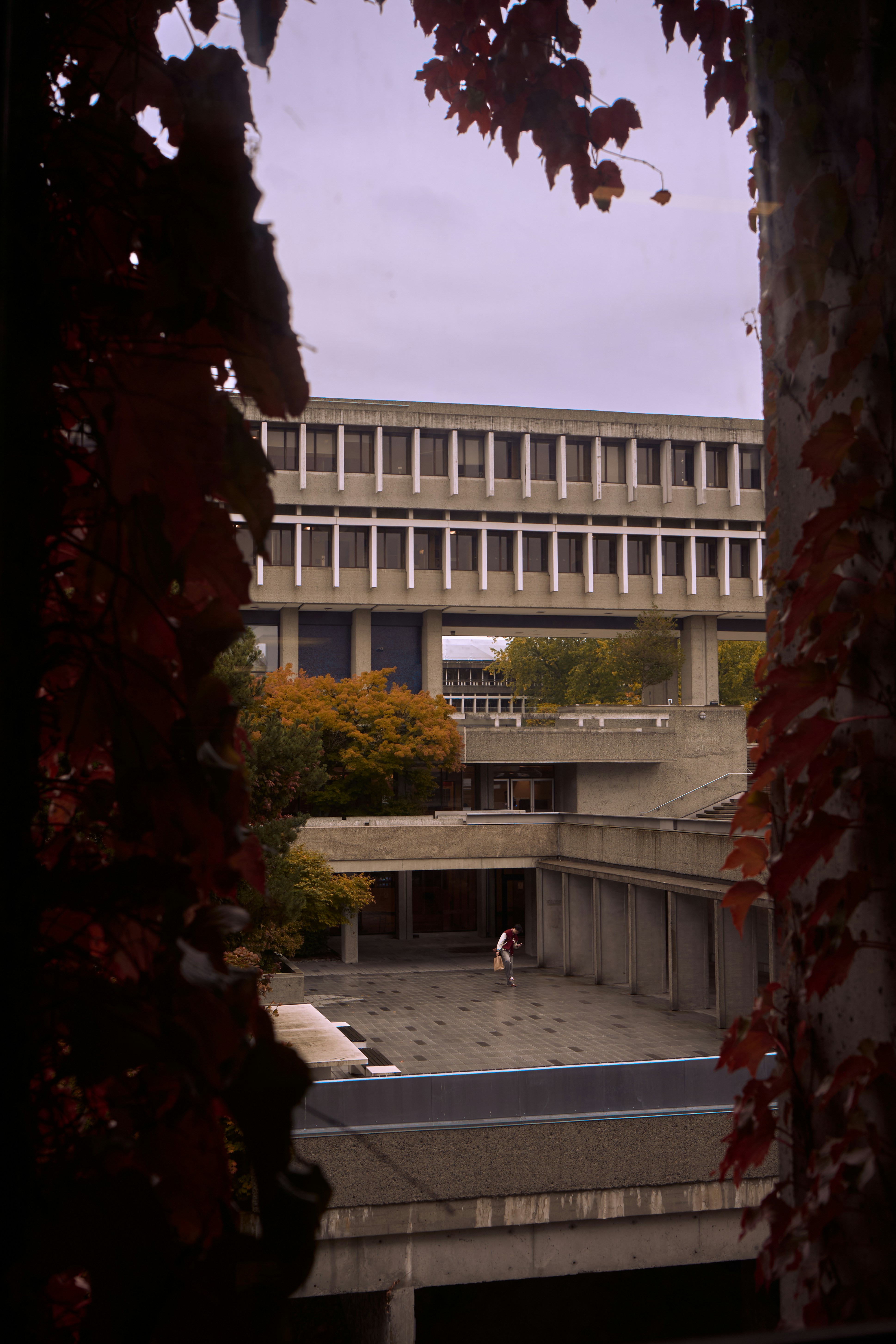 Mid-Courtyard Quiet: A Student Traverses the Concrete Spine