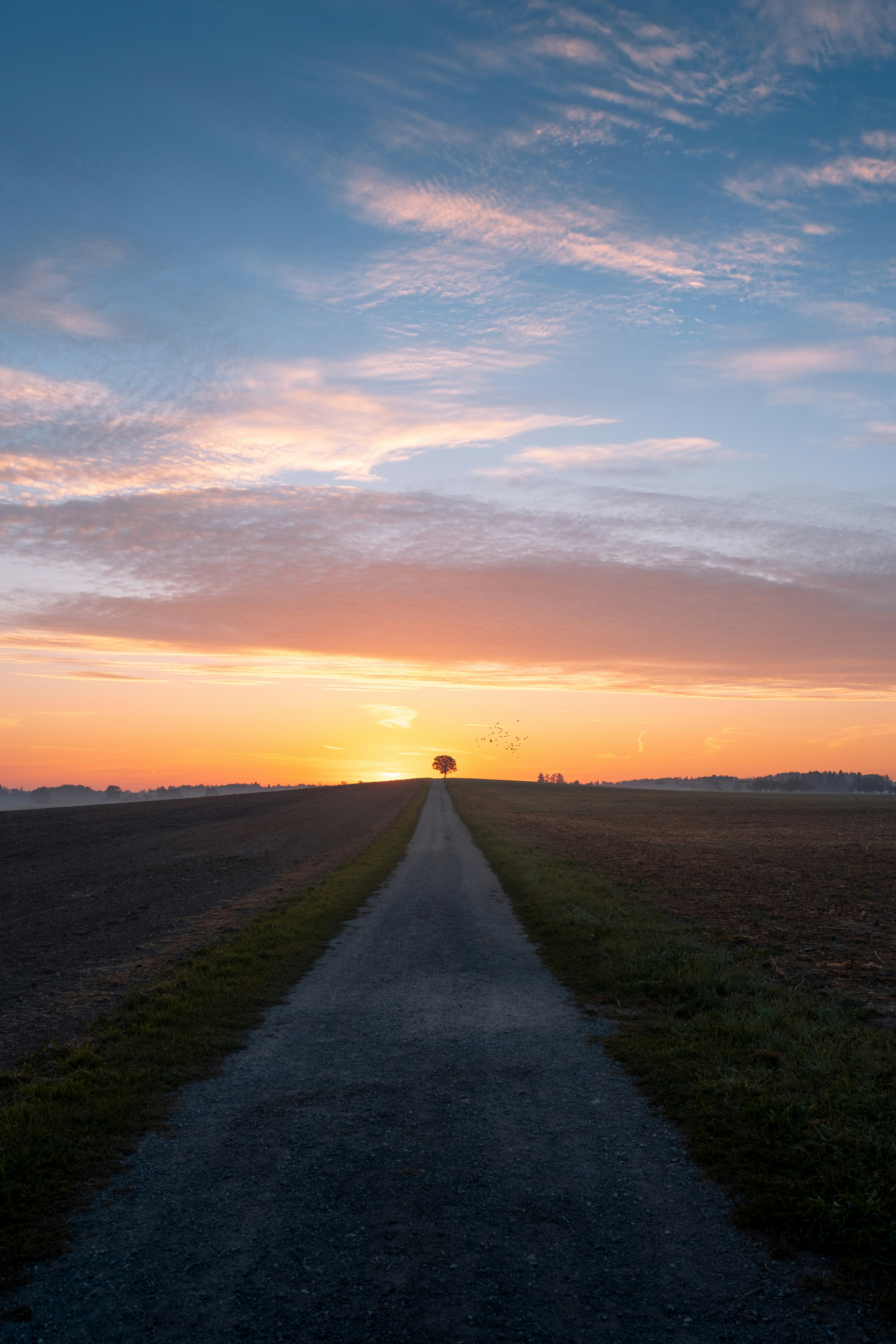 Path to the Far Horizon: Sunset over the Lone Tree