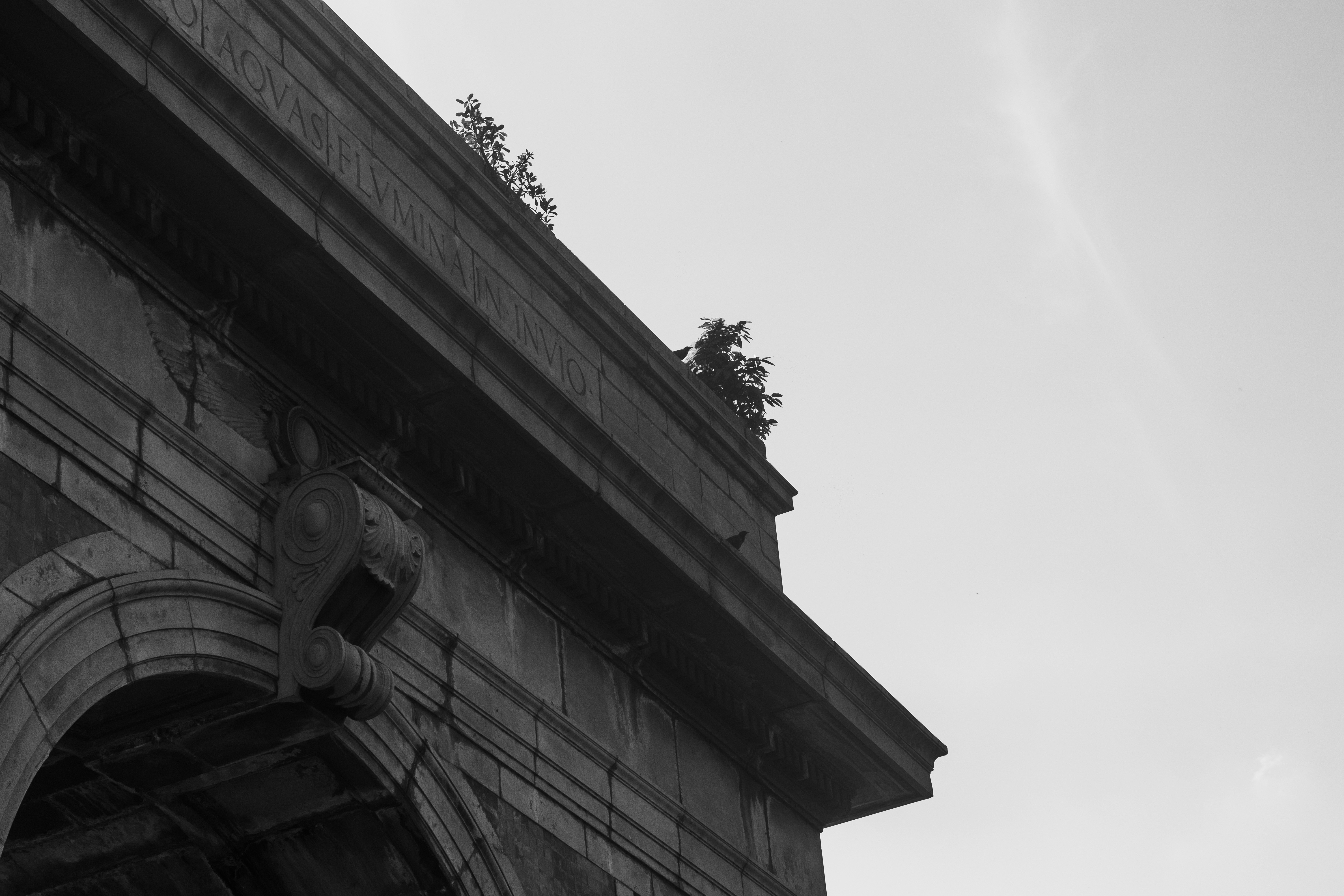 Architectural Crest: A Corner of Stone and Sky