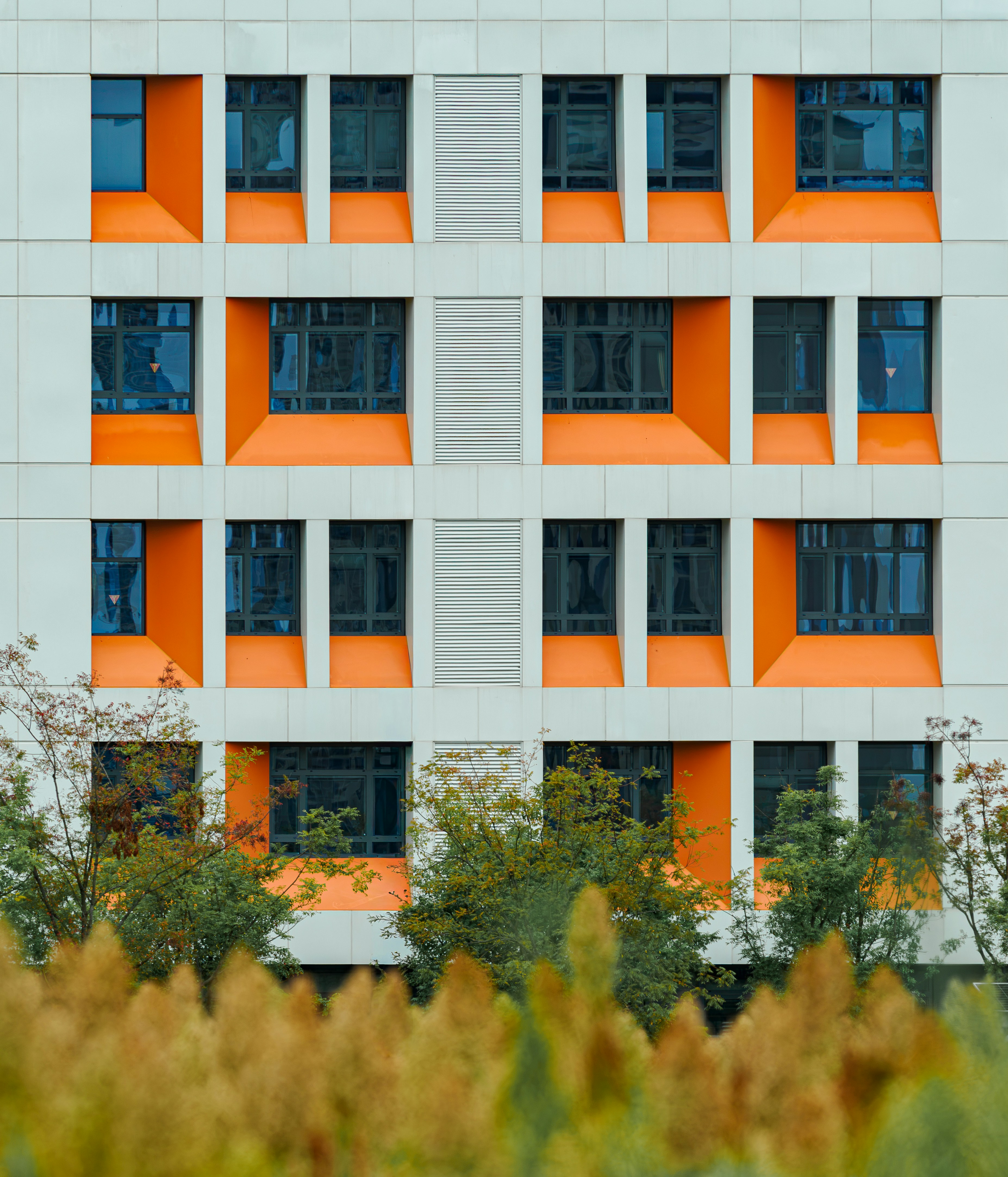 Orange-windowed facade: a grid of modern apartments above a green foreground
