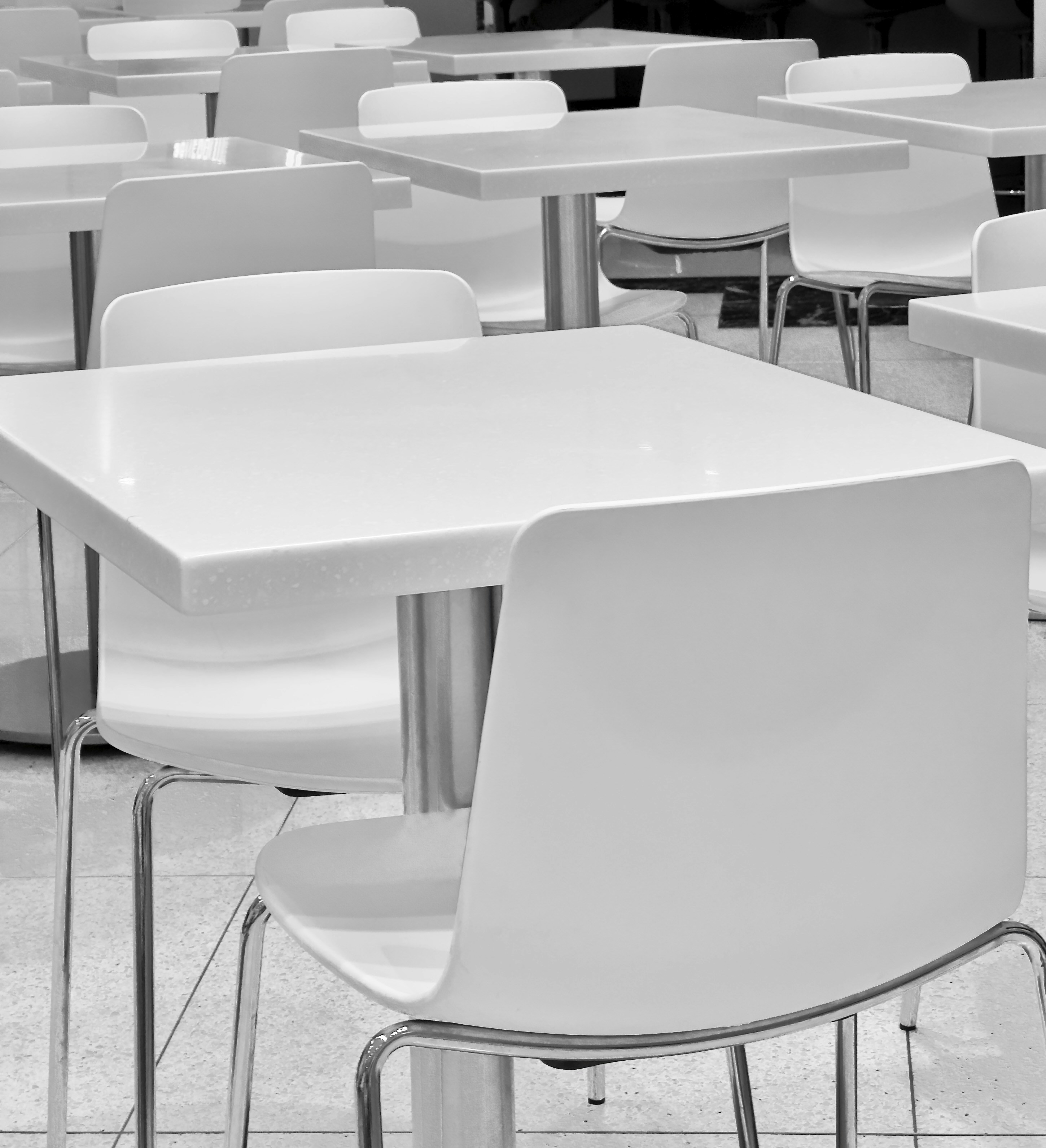 Monochrome classroom with empty white chairs and tables arranged in orderly rows, capturing a minimalist study space.