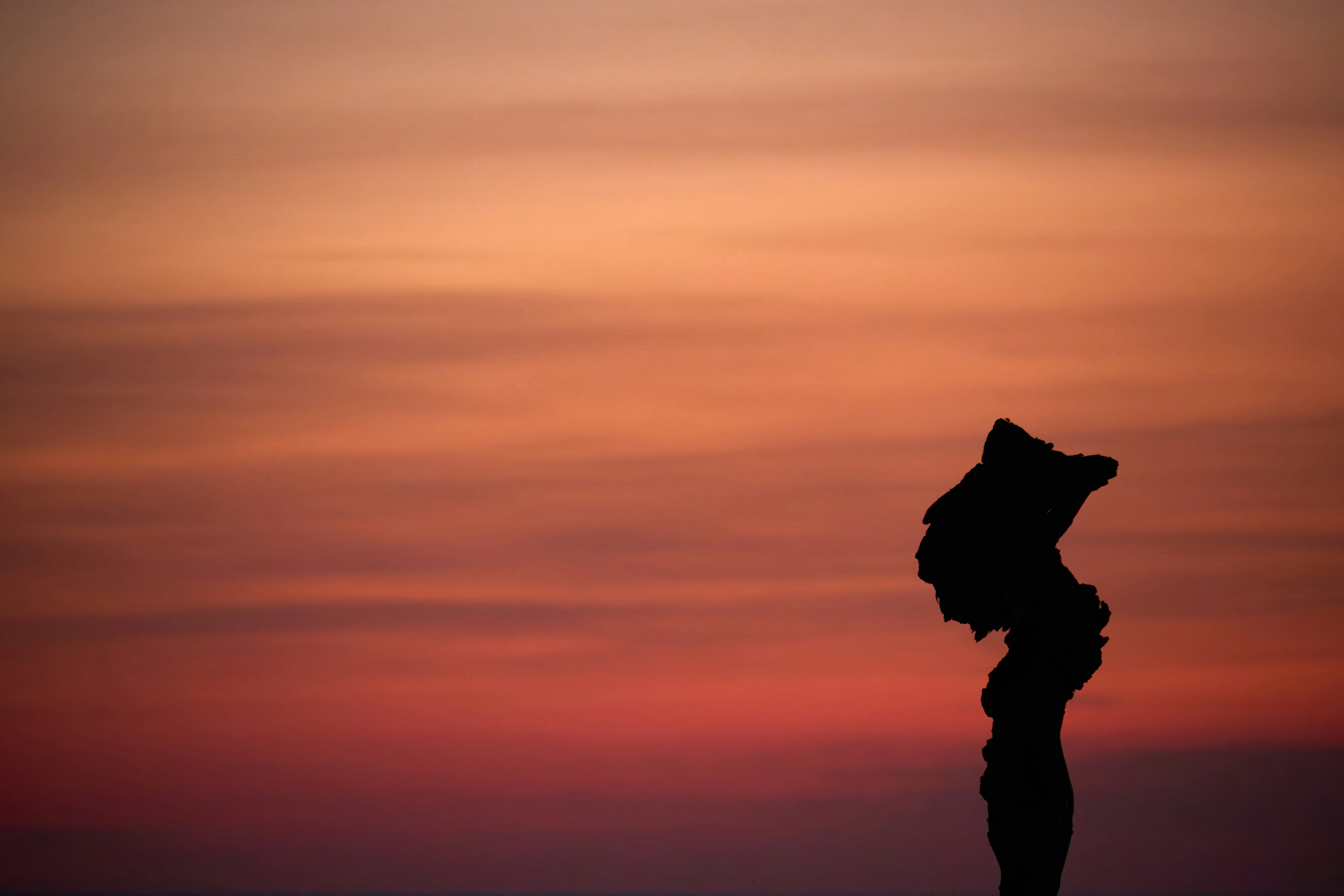 Silhouette at Dusk: A Lone Figure Against a Velvet Horizon