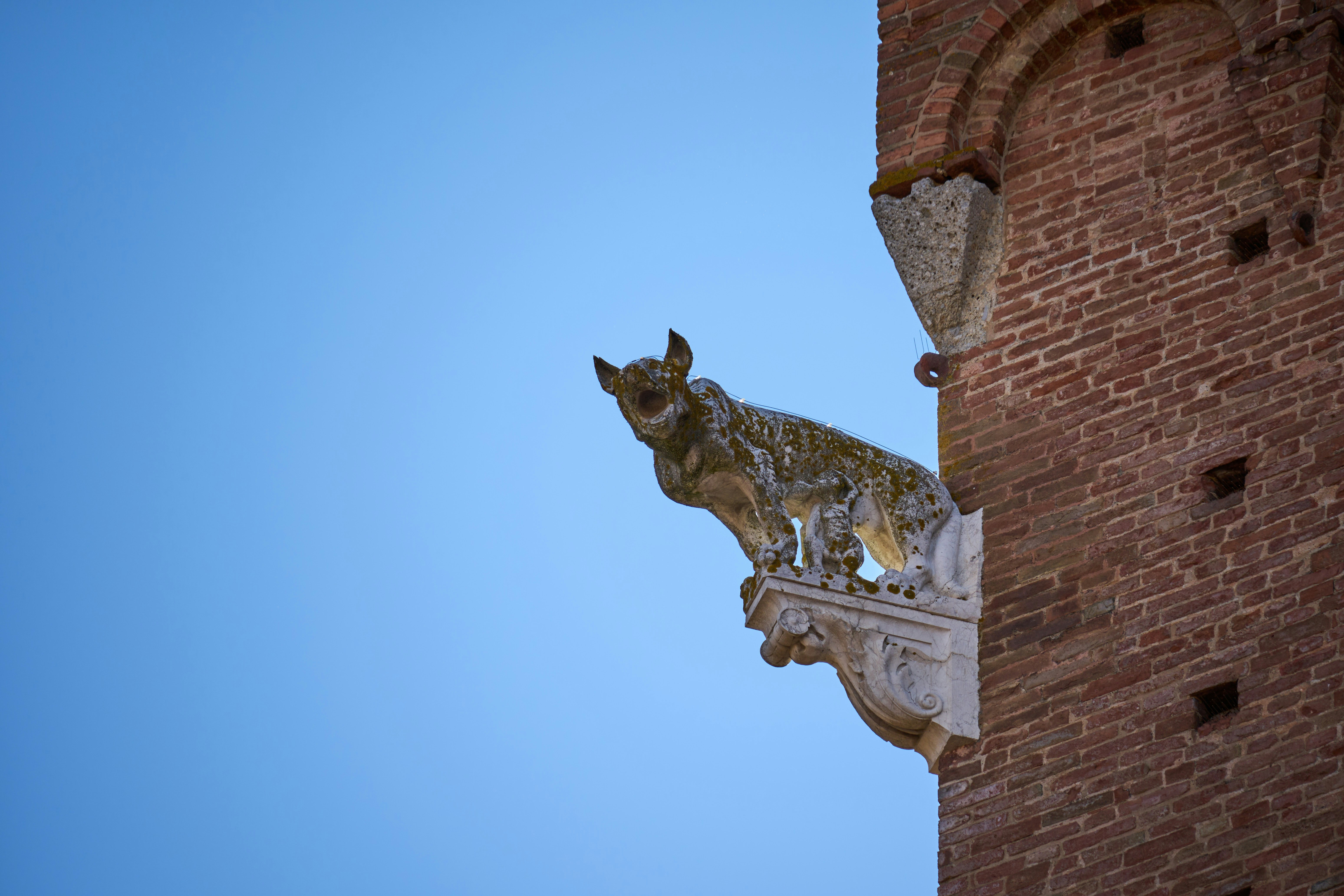 Stone Griffin Perched on Brickwork Against a Clear Sky