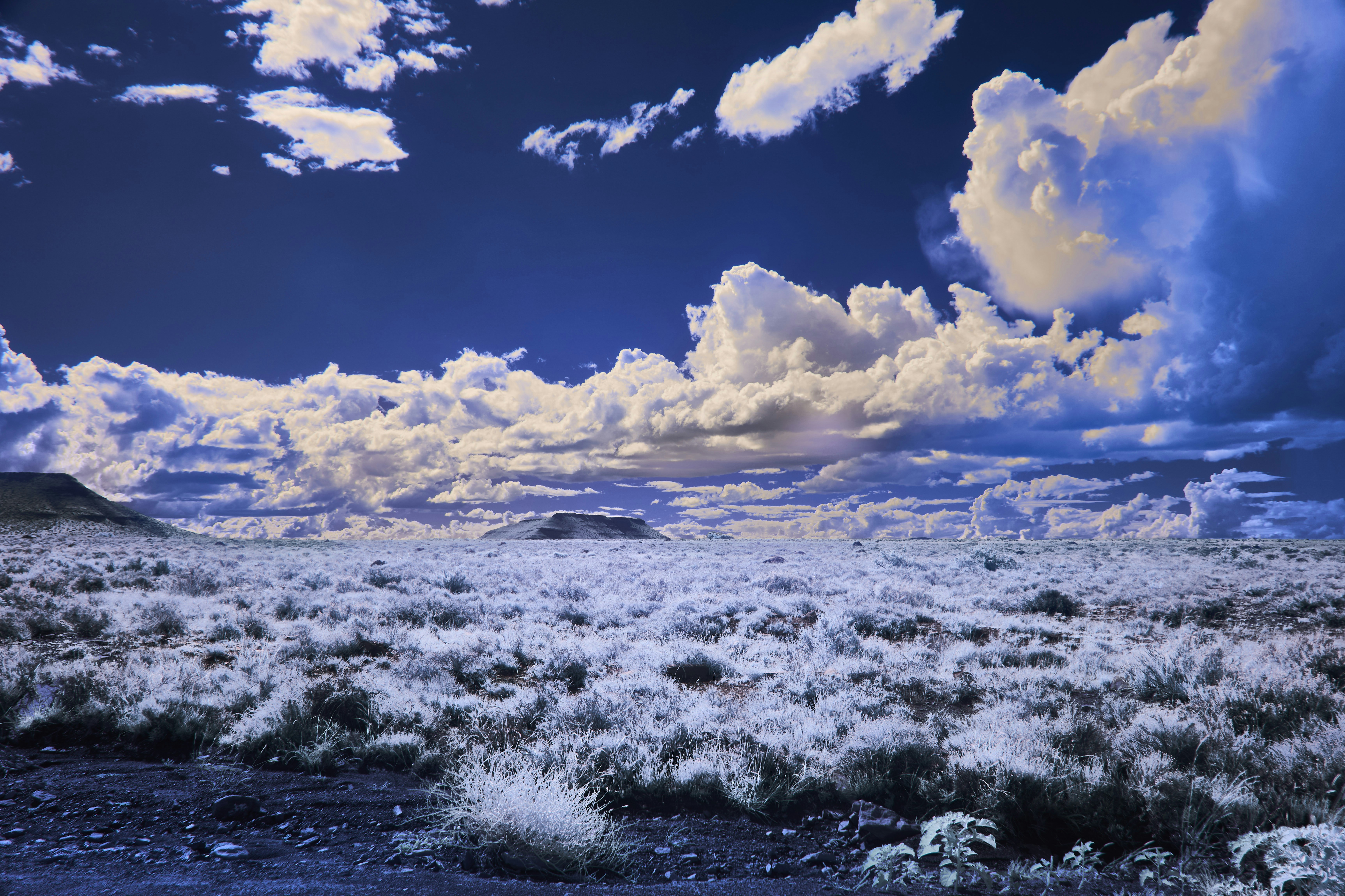 Dawn over Frosted Plains: A Wide Snow-Blanketed Horizon