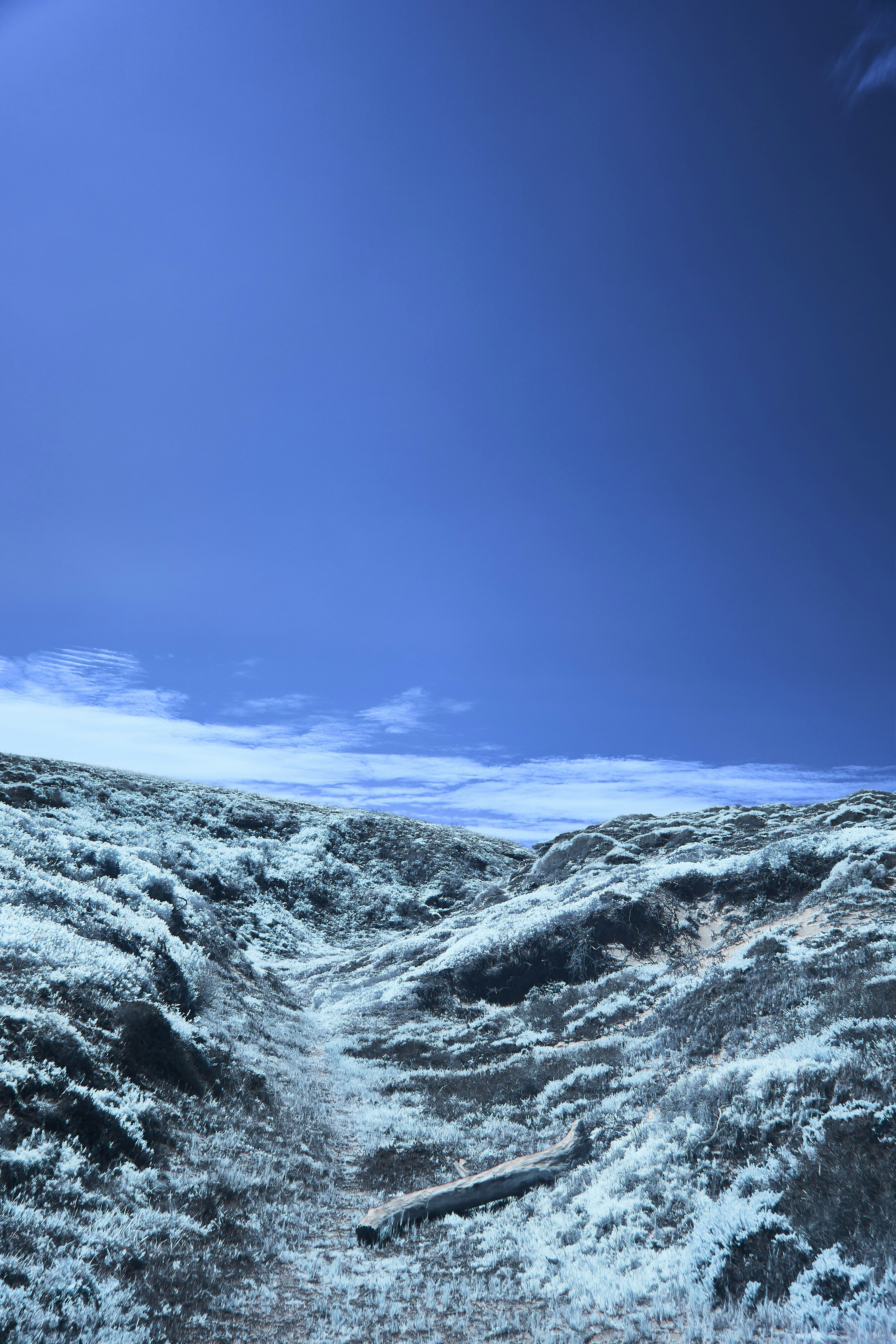 Blue Dawn over Iced Ridge