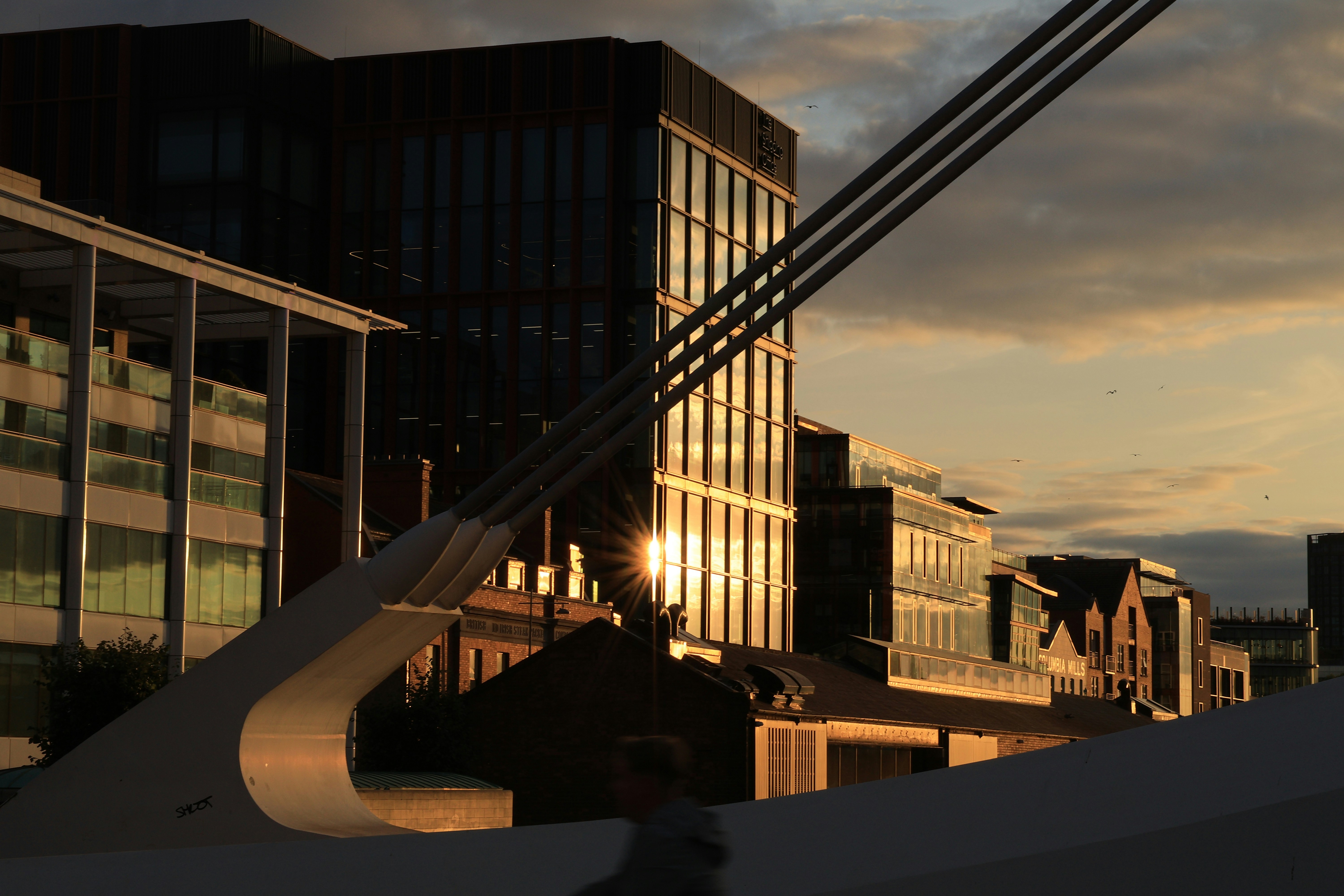 Sunlit Skyline Under the Cable Arc