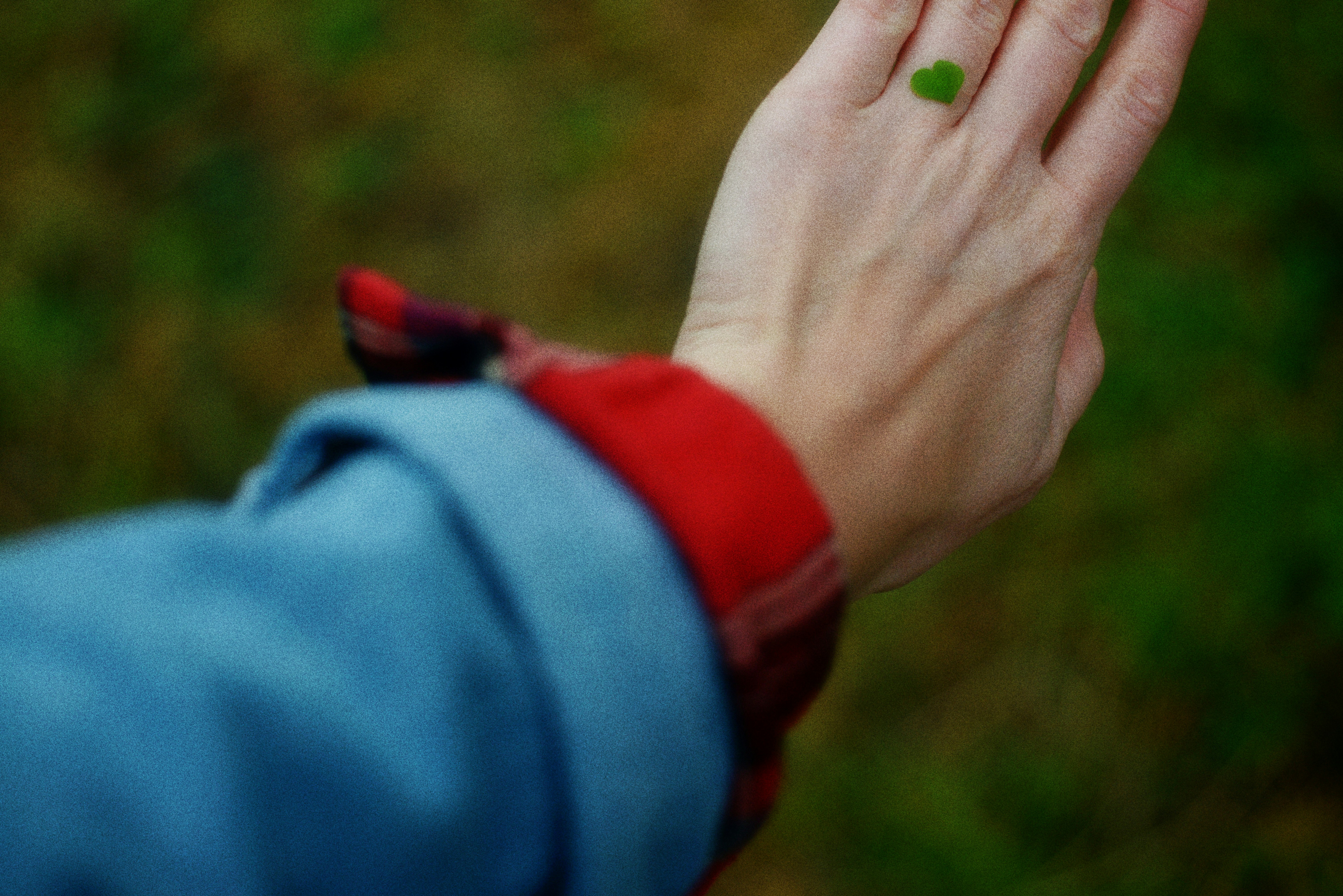 Handshake in the Park: A Subtle Gesture Against a Blurred Green Backdrop