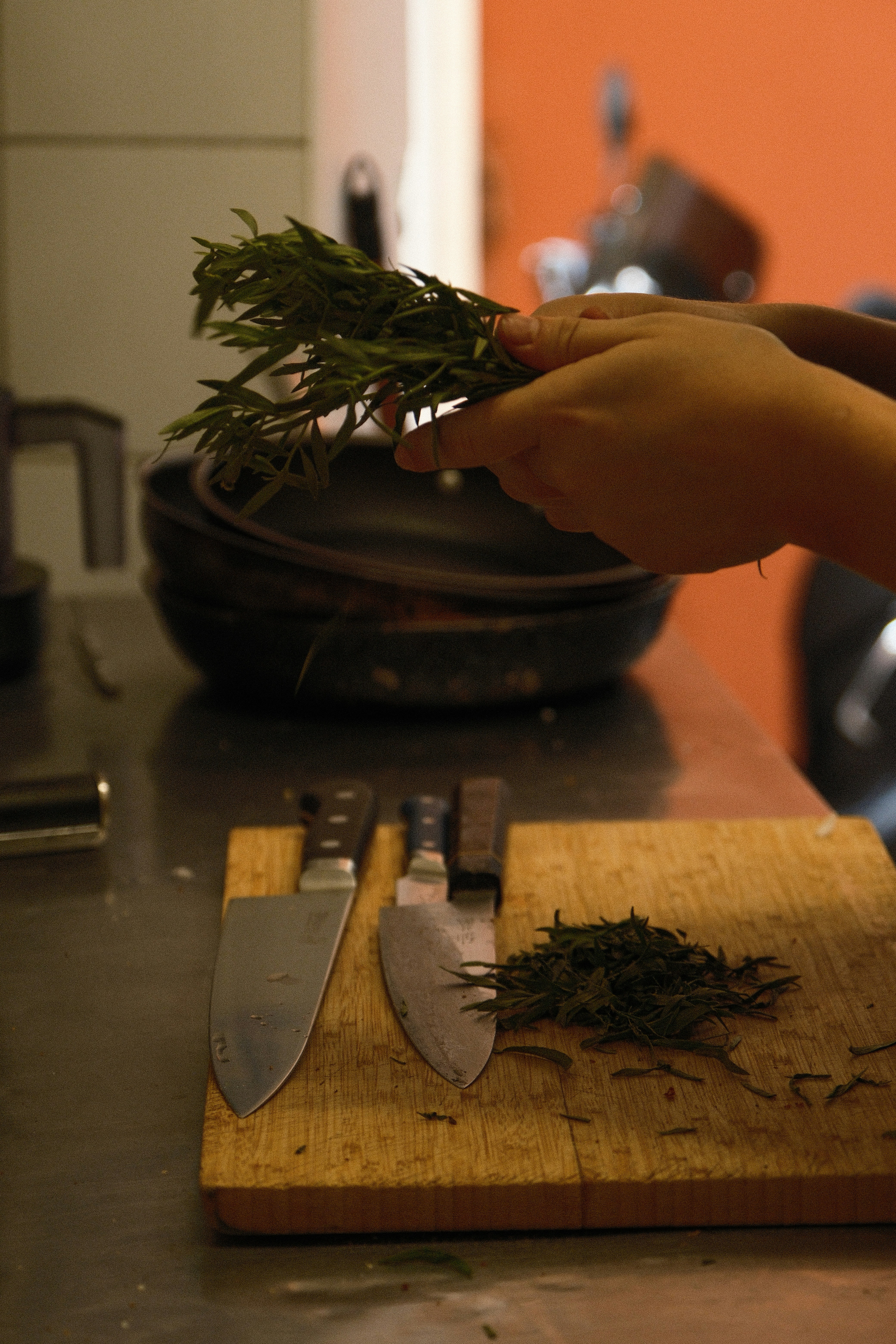 Herbal Harvest: Fresh Sprigs Hover Over a Wooden Board