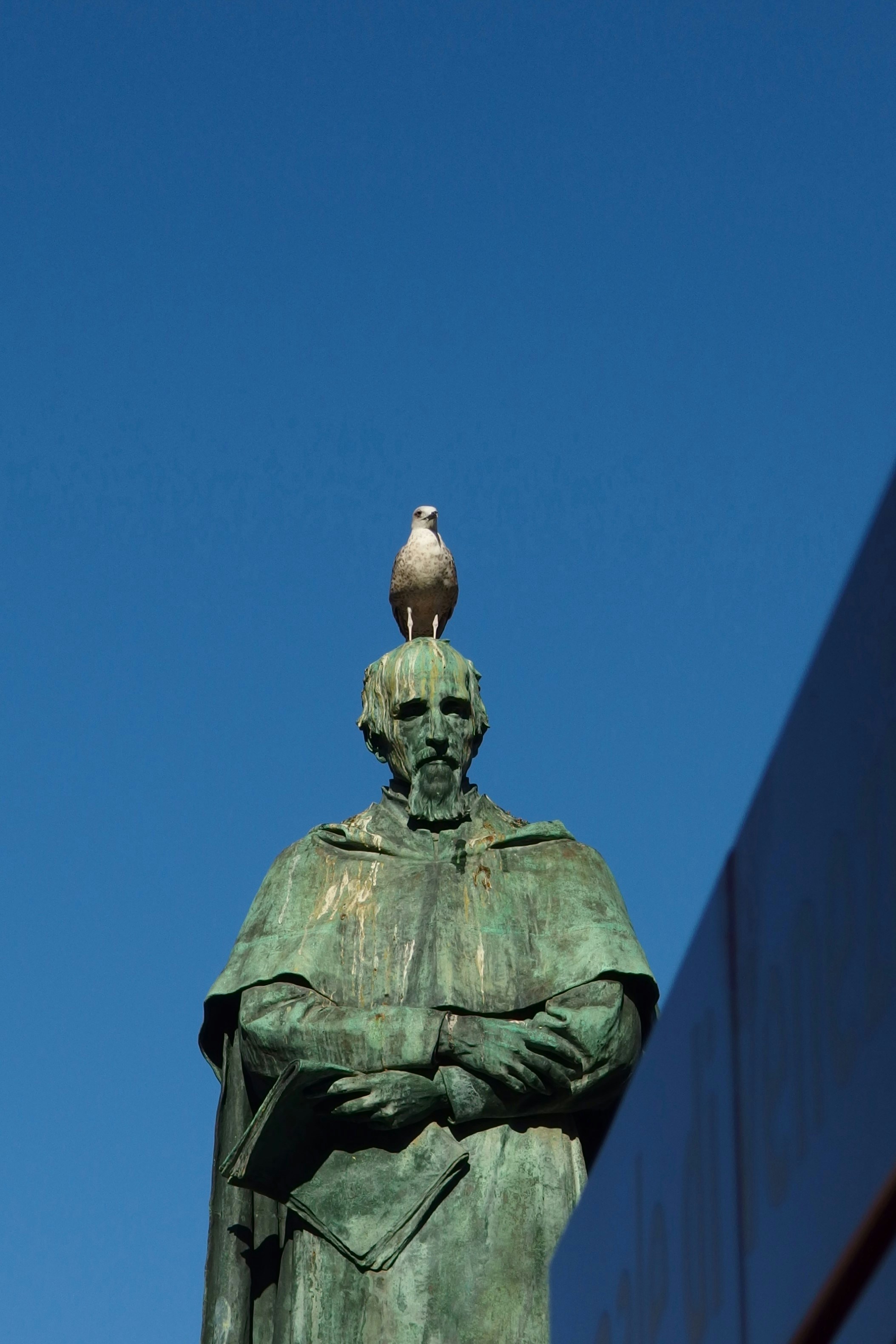 Sentinel on Stone: A Gull perches atop a weathered bronze statue under a copper-blue sky