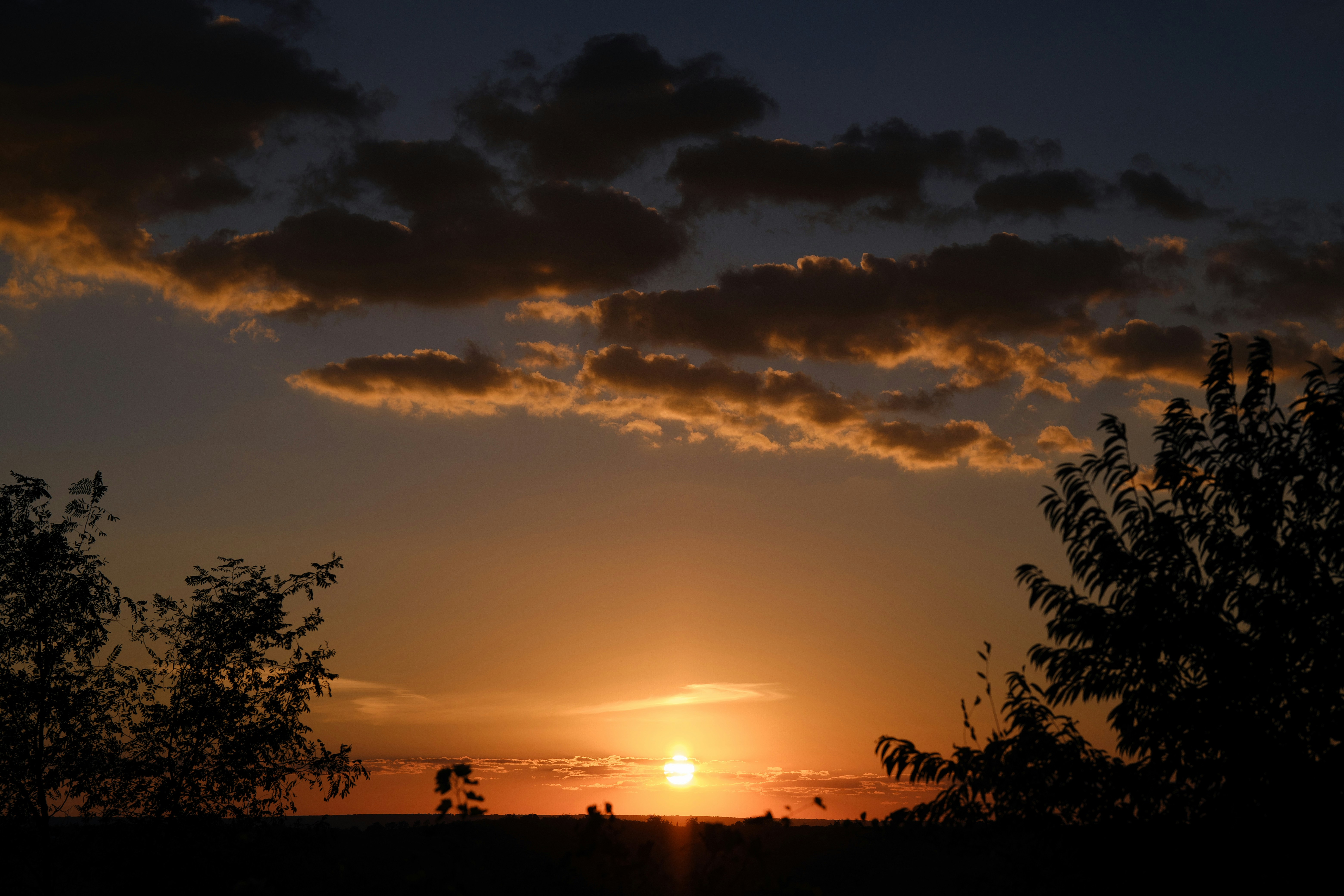 Soft sunset glow along a low horizon with silhouettes of trees; a calm sky with scattered clouds and a bright sun near the horizon. This is a natural landscape photograph capturing color and contour of twilight.
