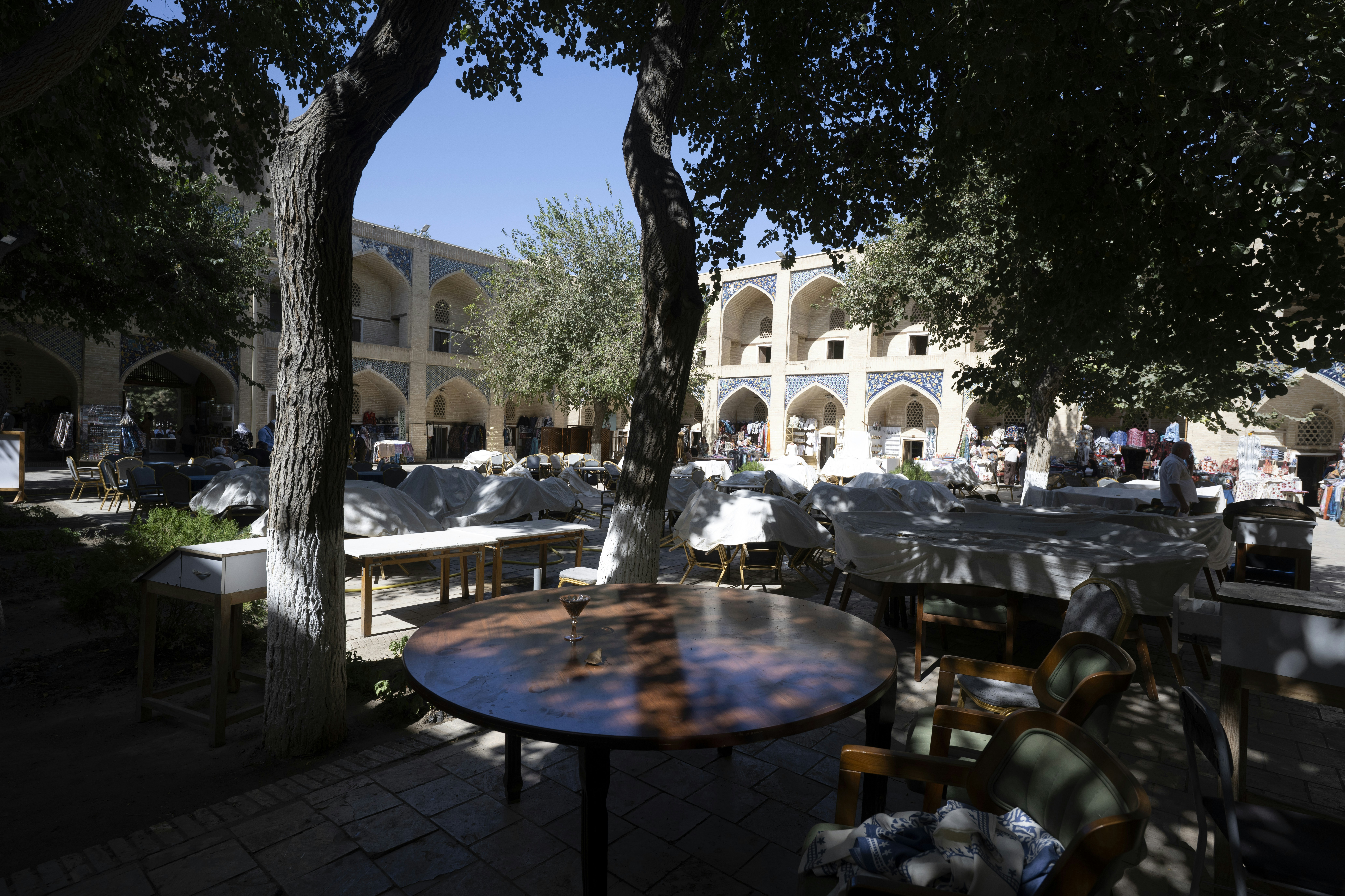 Shaded Courtyard at Dusk: Quiet Tables Beneath Ancient Trees