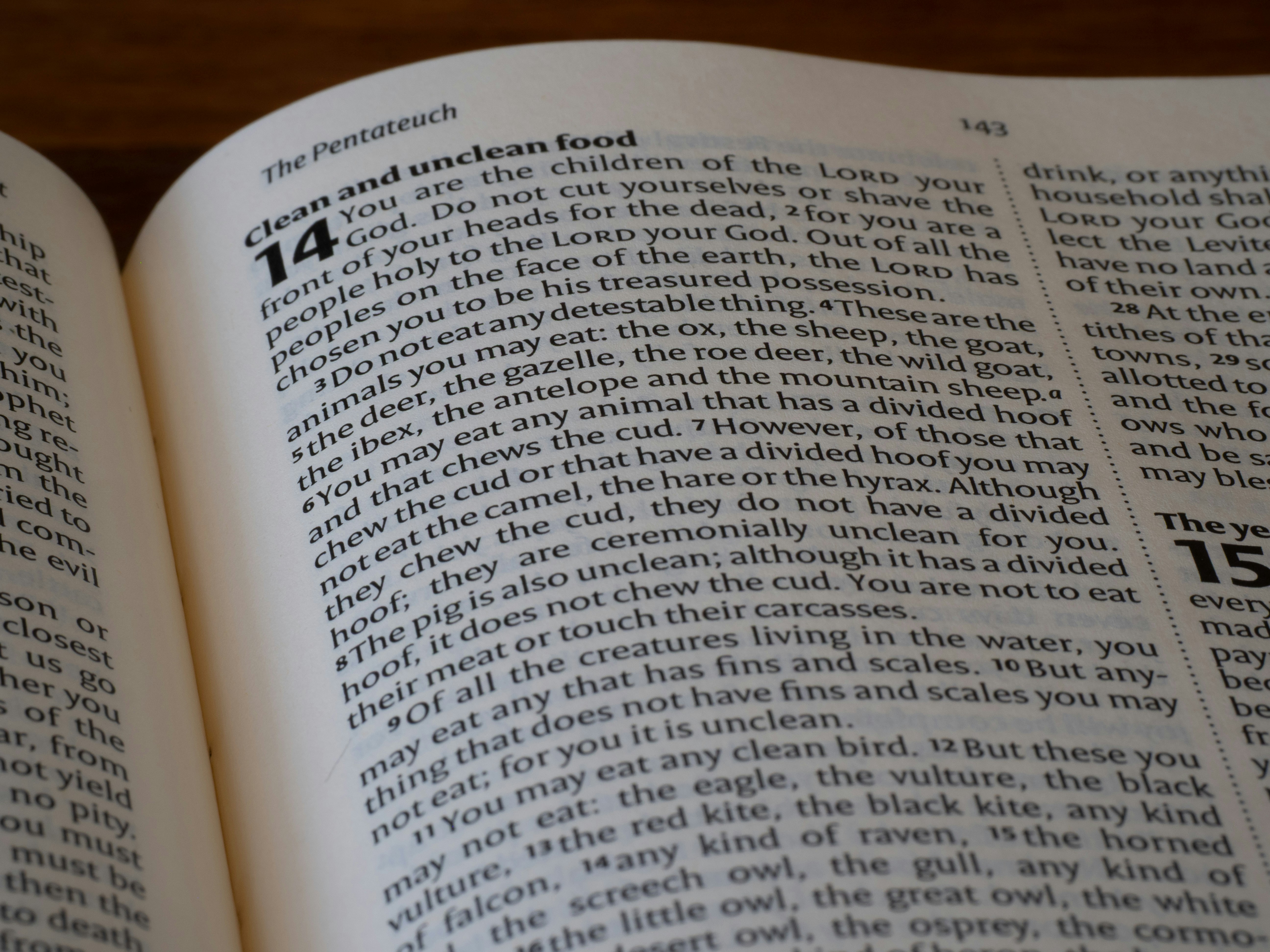 Printed Whisper: A Page Curled into a Gentle Arc
