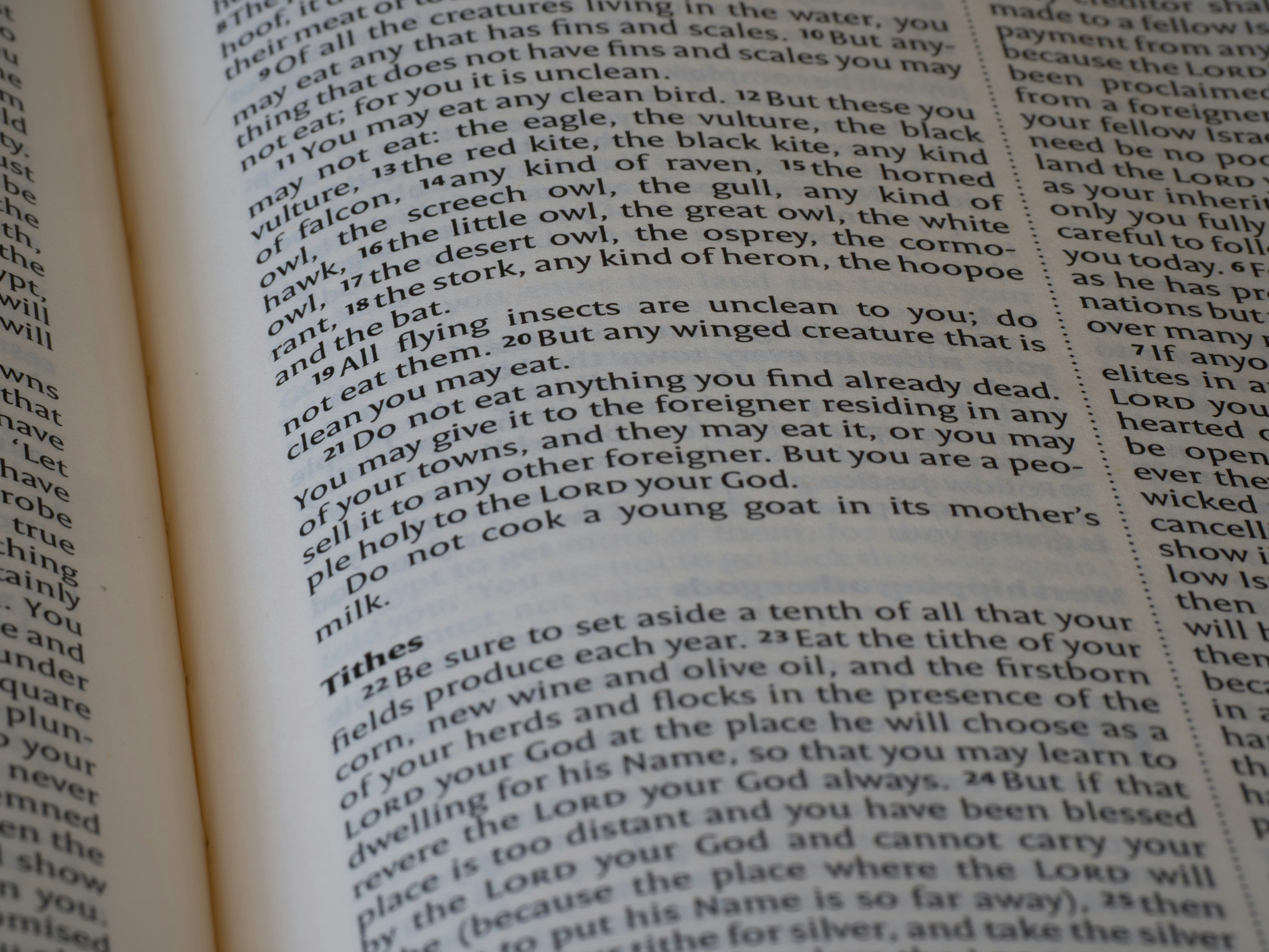 A Quiet Moment in the Margins: Words Between the Lines