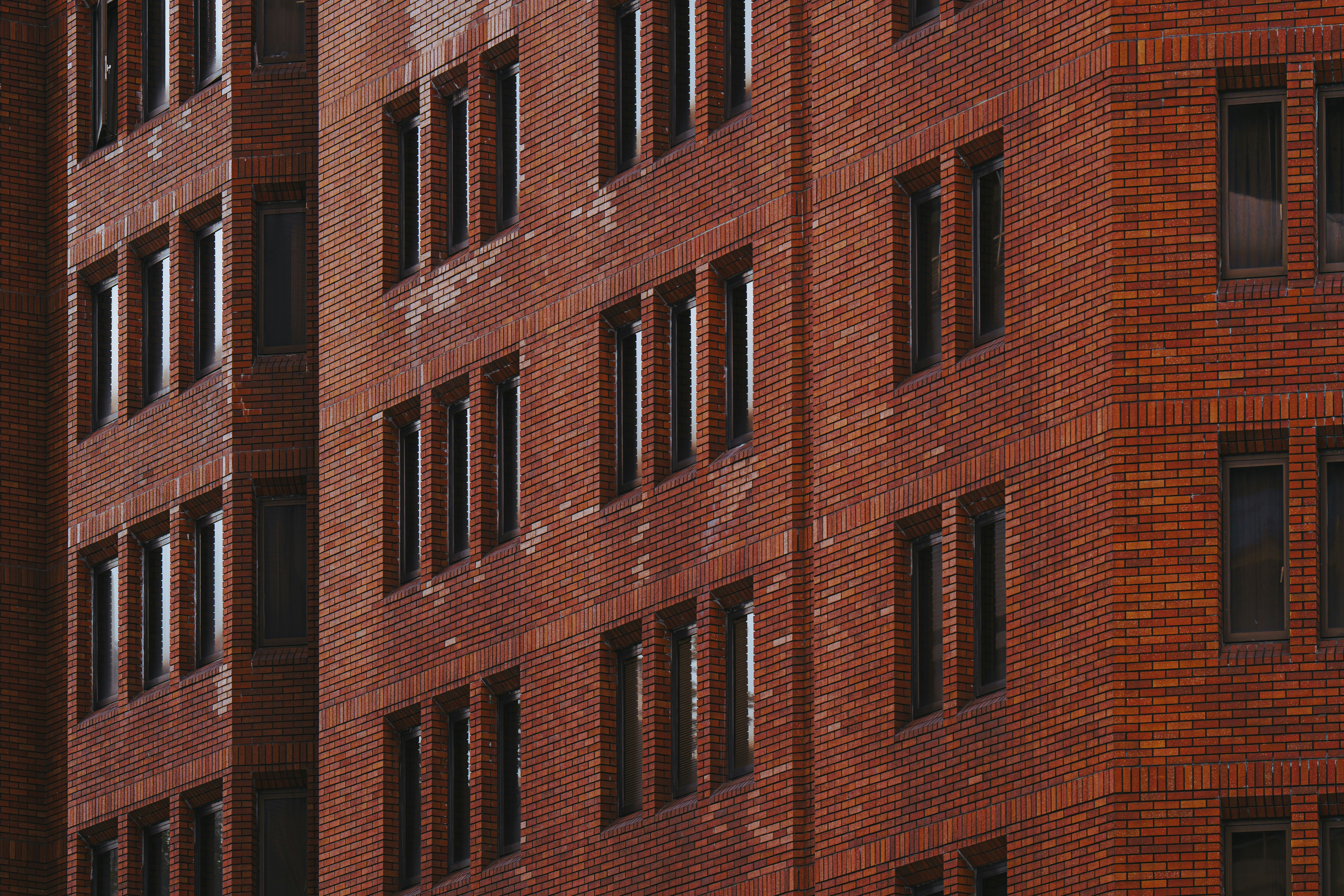 Brick Facade Echoes: Repetition and Light on an Urban Wall