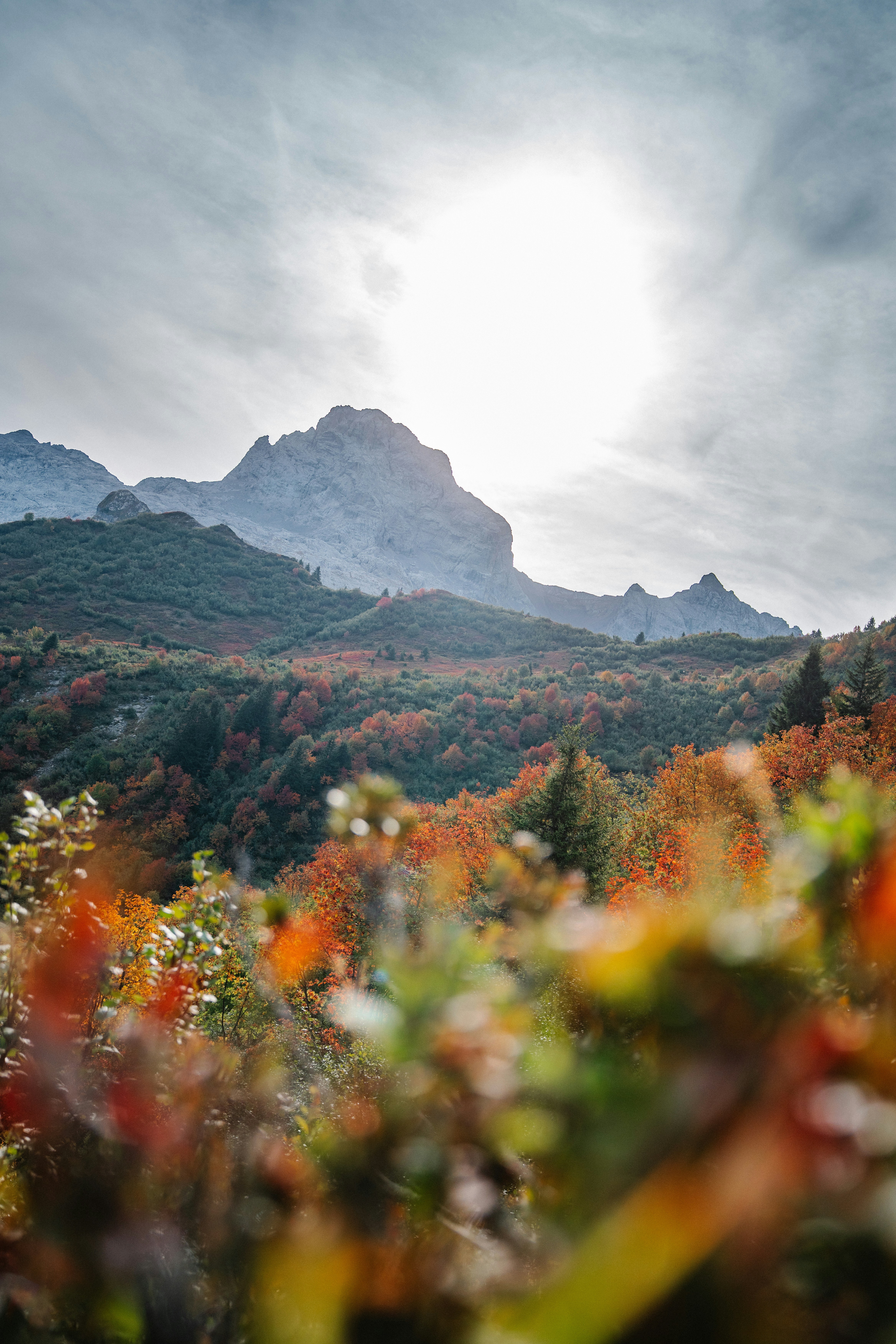 Autumnal valley with colorful foliage and rugged mountains under a bright sky; foreground leaves blur into the frame, creating depth and emphasizing the distant peaks.