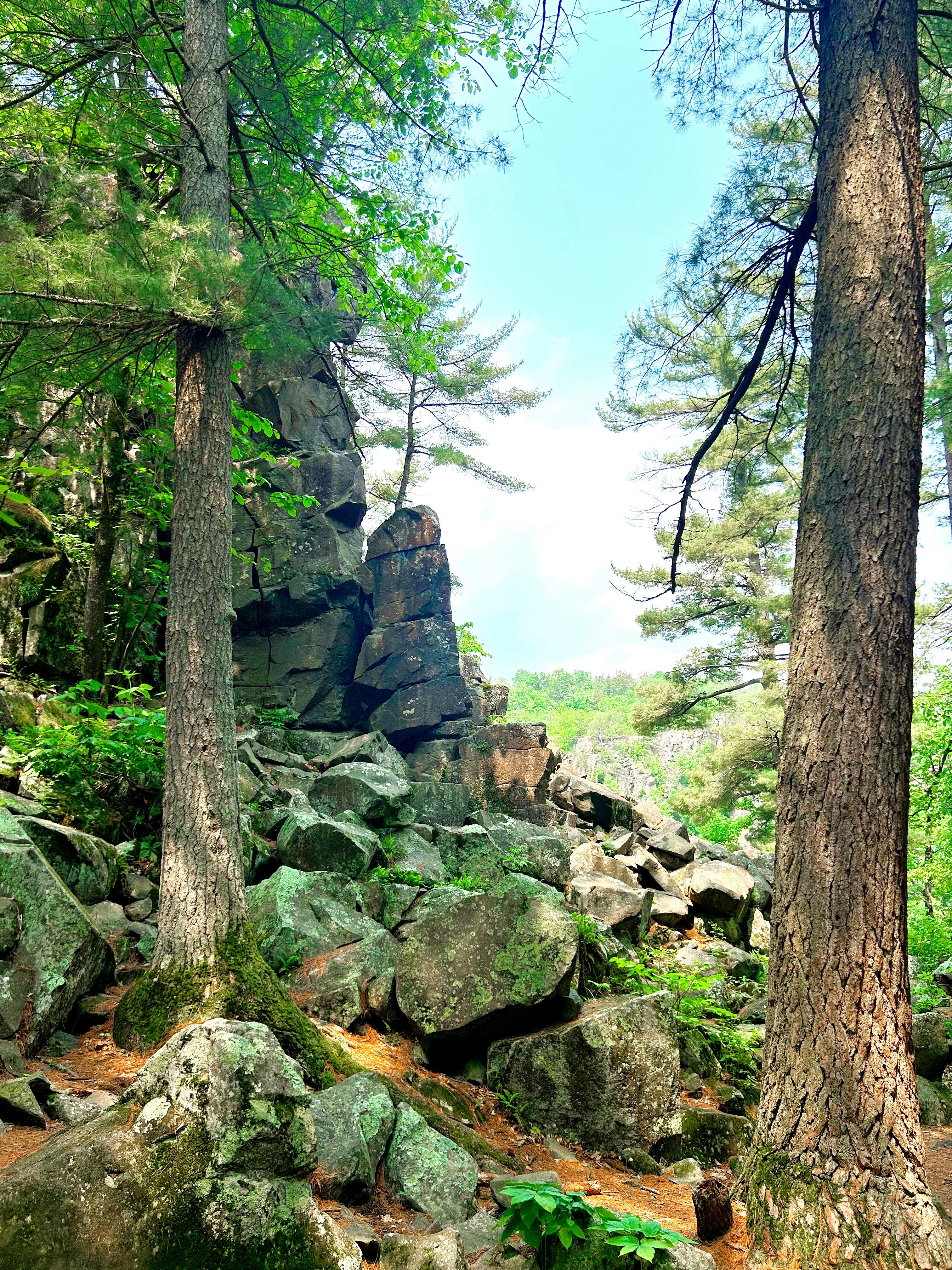 Rocky Beacon: A Forest Stair of Stone and Pine