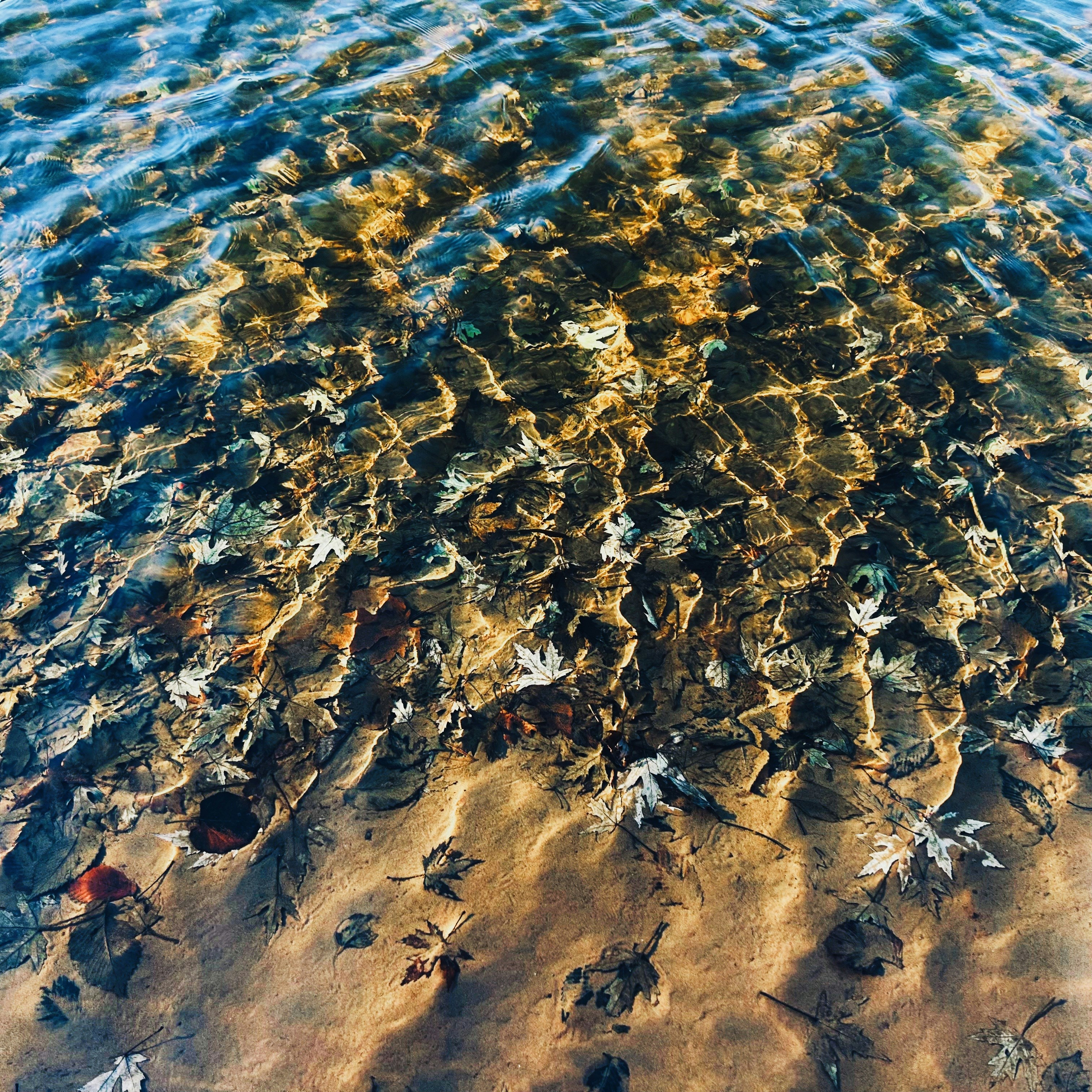Sunlit Tide: Golden Ripples Over Pebbled Shallows