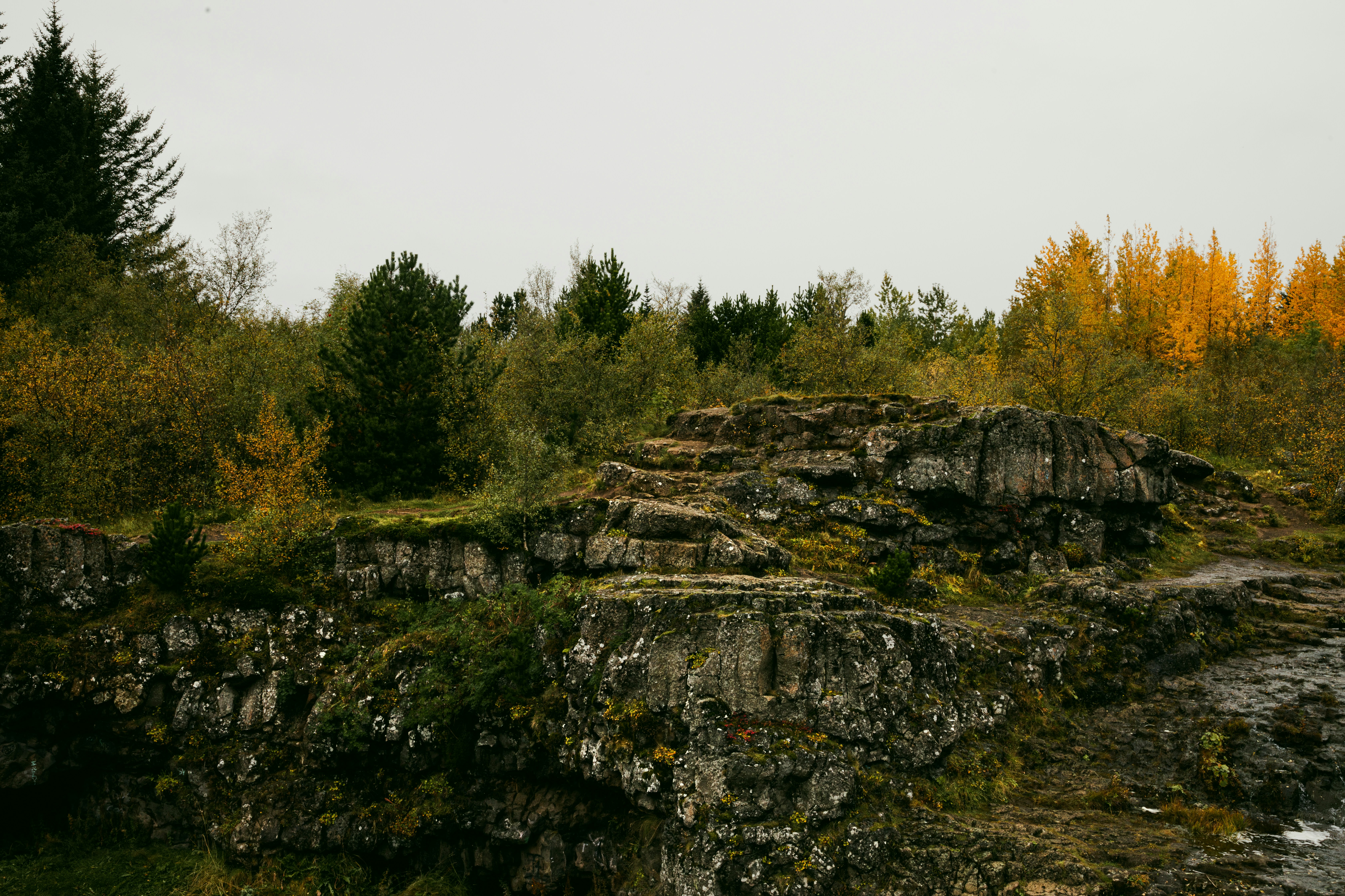 Autumn cliffscape: layered rock ledges and a touch of gold foliage