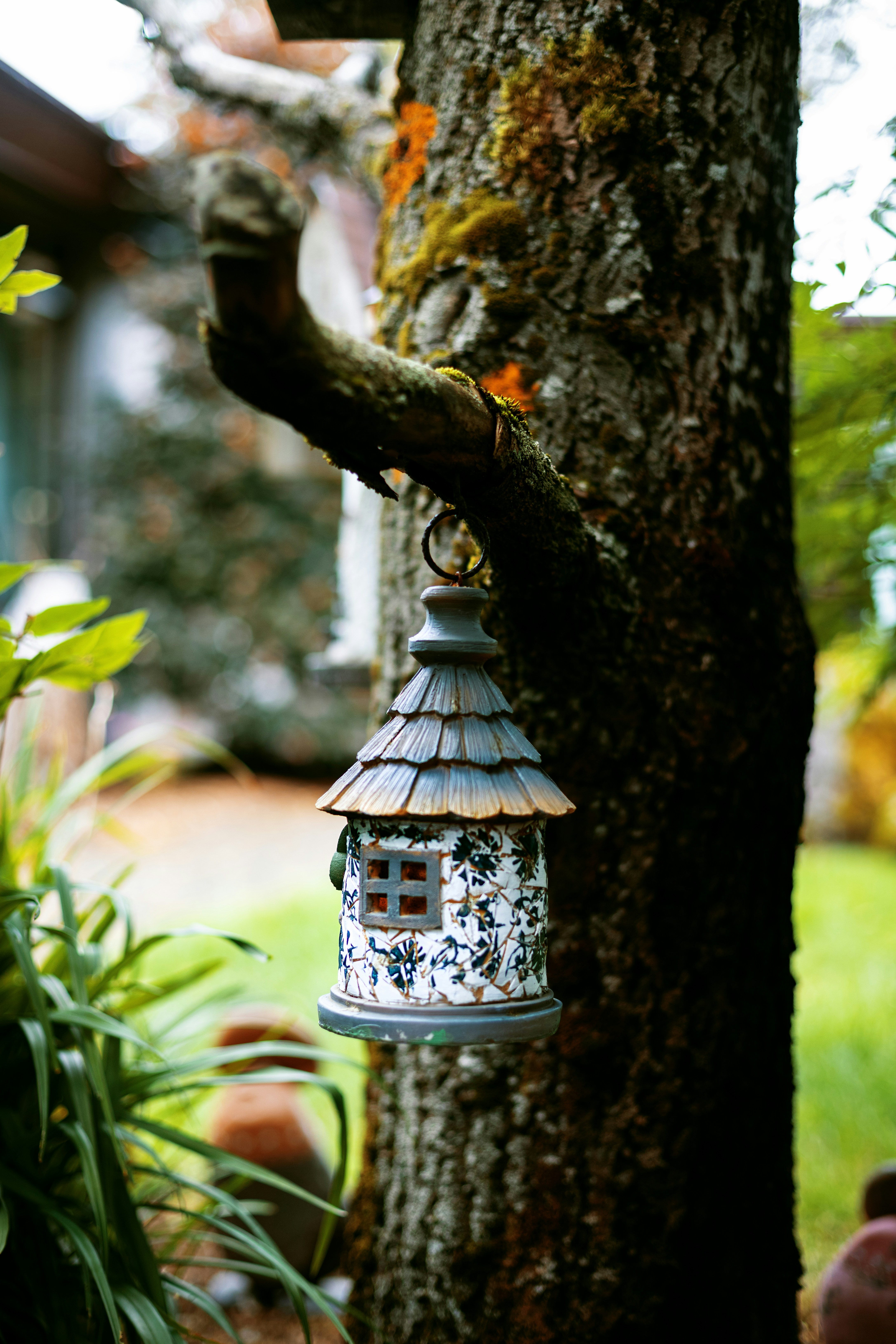 Hanging Lantern in a Mossy Tree Garden