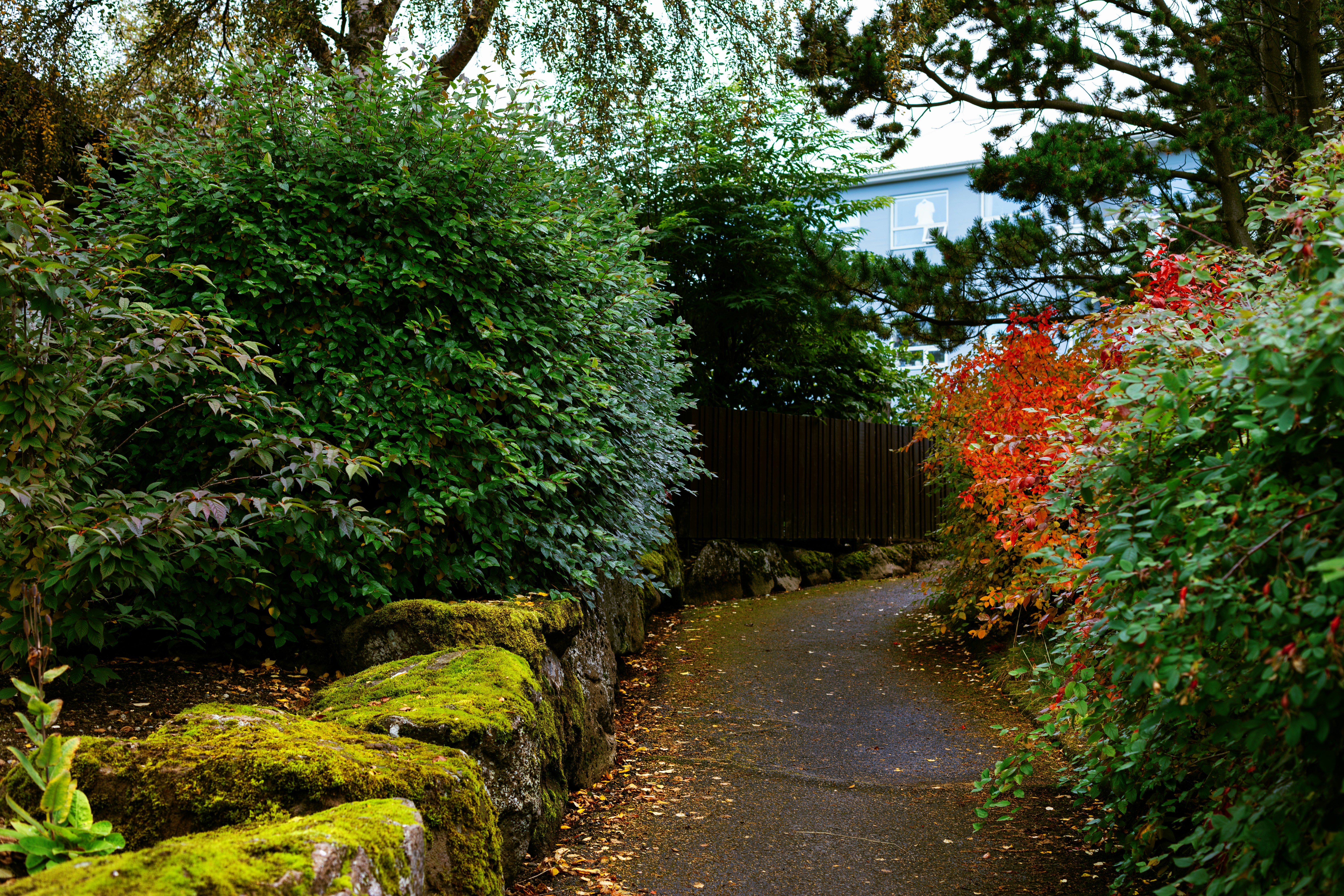 Mossy stone border and tree-lined path toward a blue-lit gate