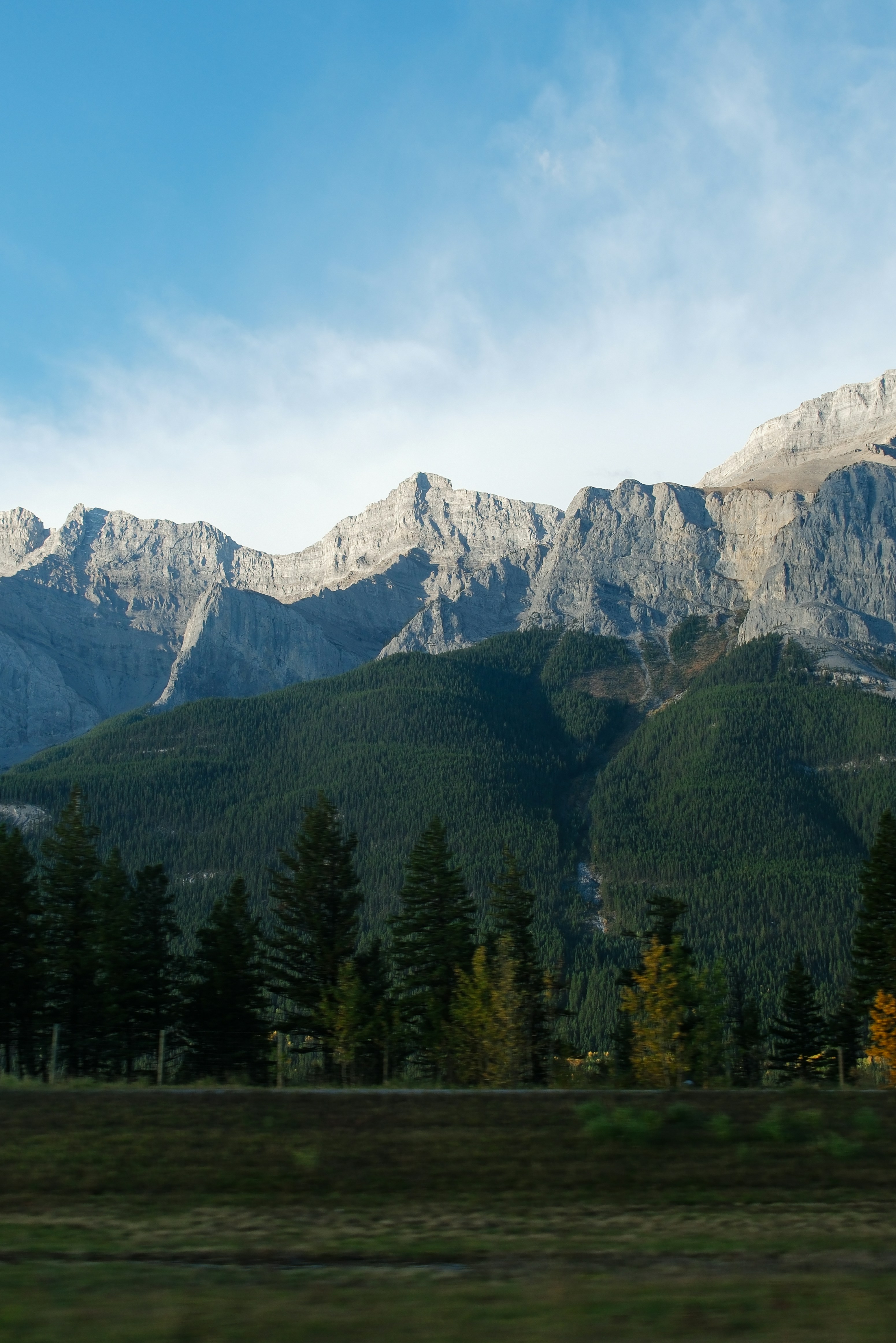 Snow-dusted Peaks Over a Pine Forest