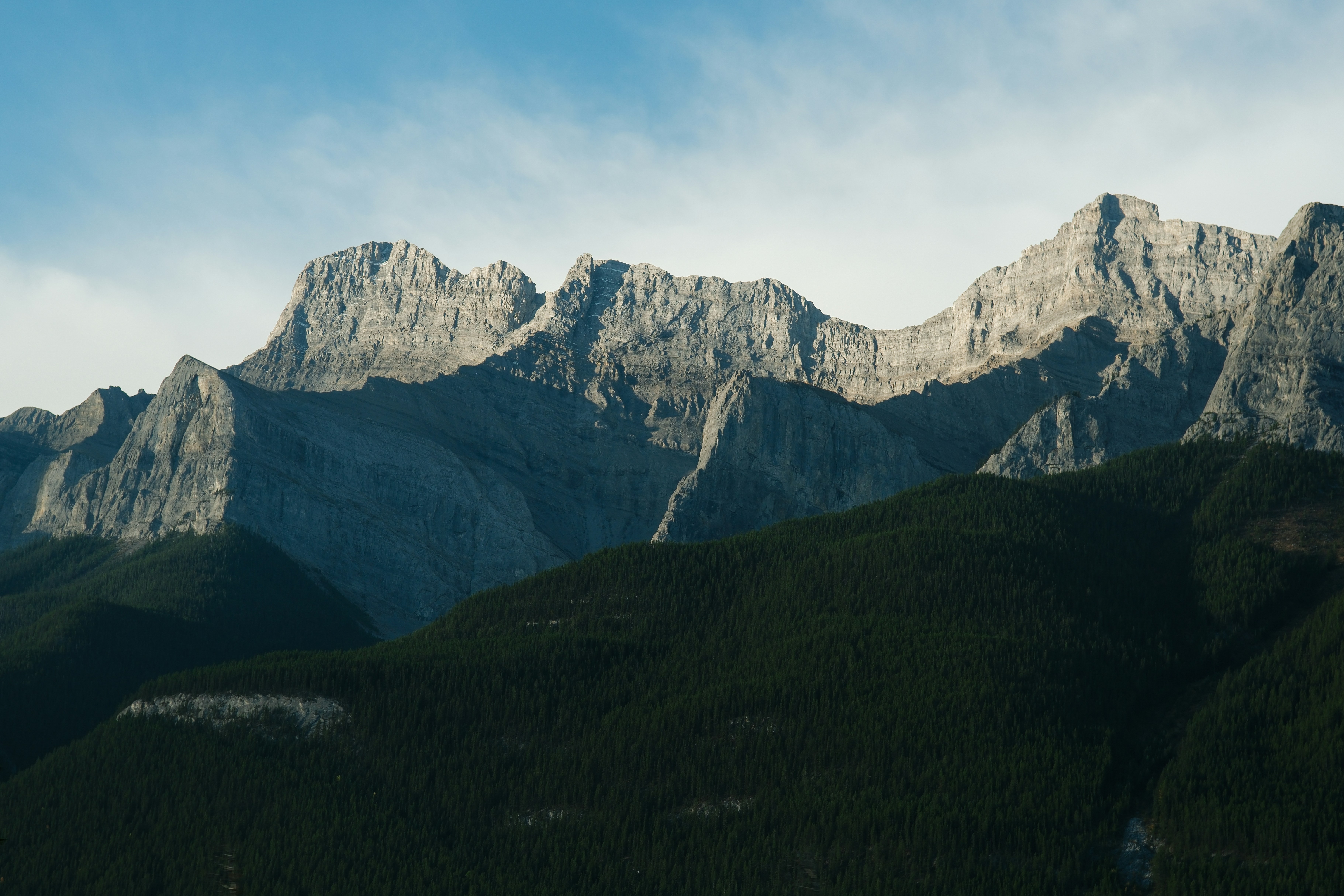 Ridge Gate: Sunlit Peaks Beyond a Dark Pine Cascade