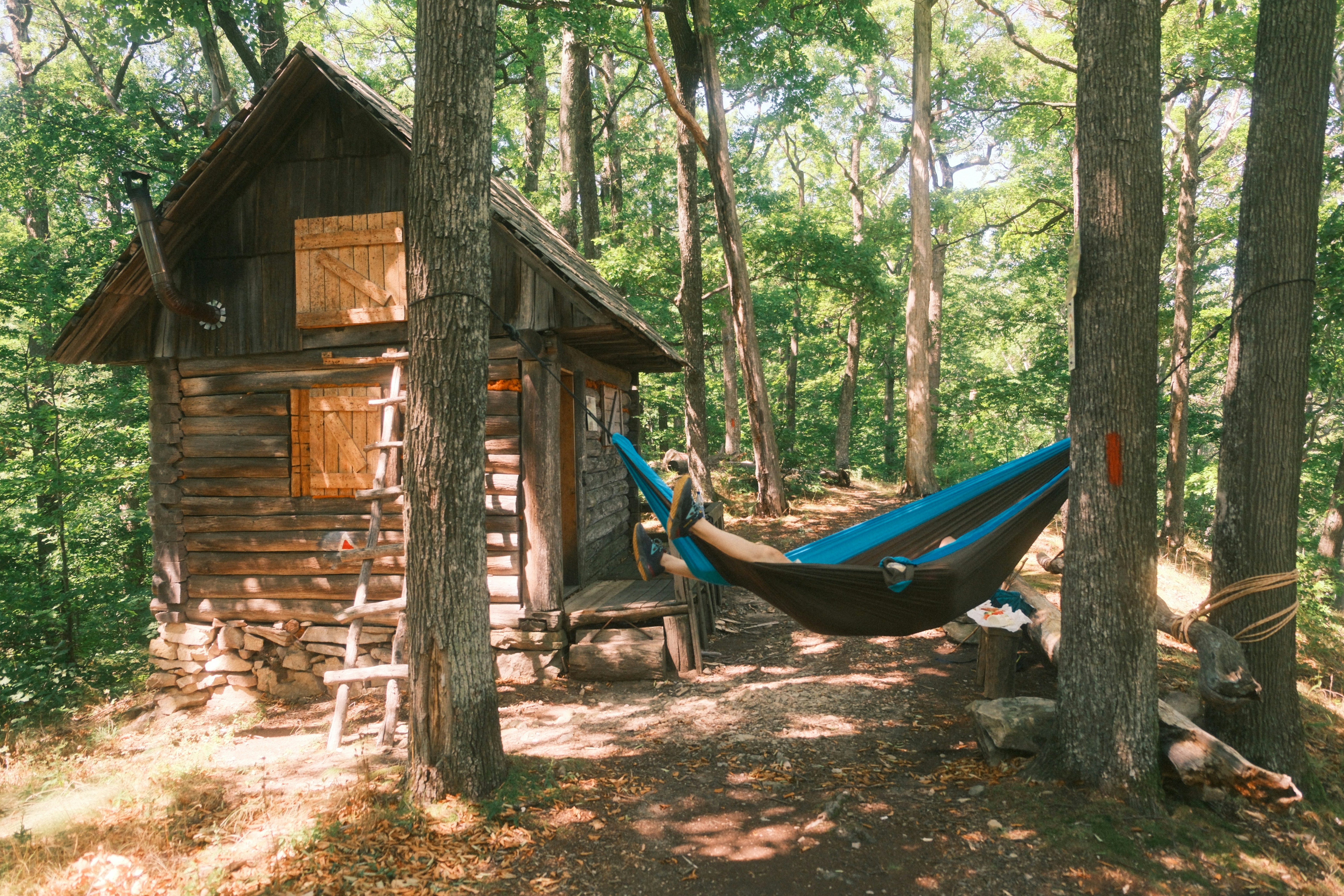 Hammock Haven: A Rustic Cabin Retreat in Dappled Forest Light